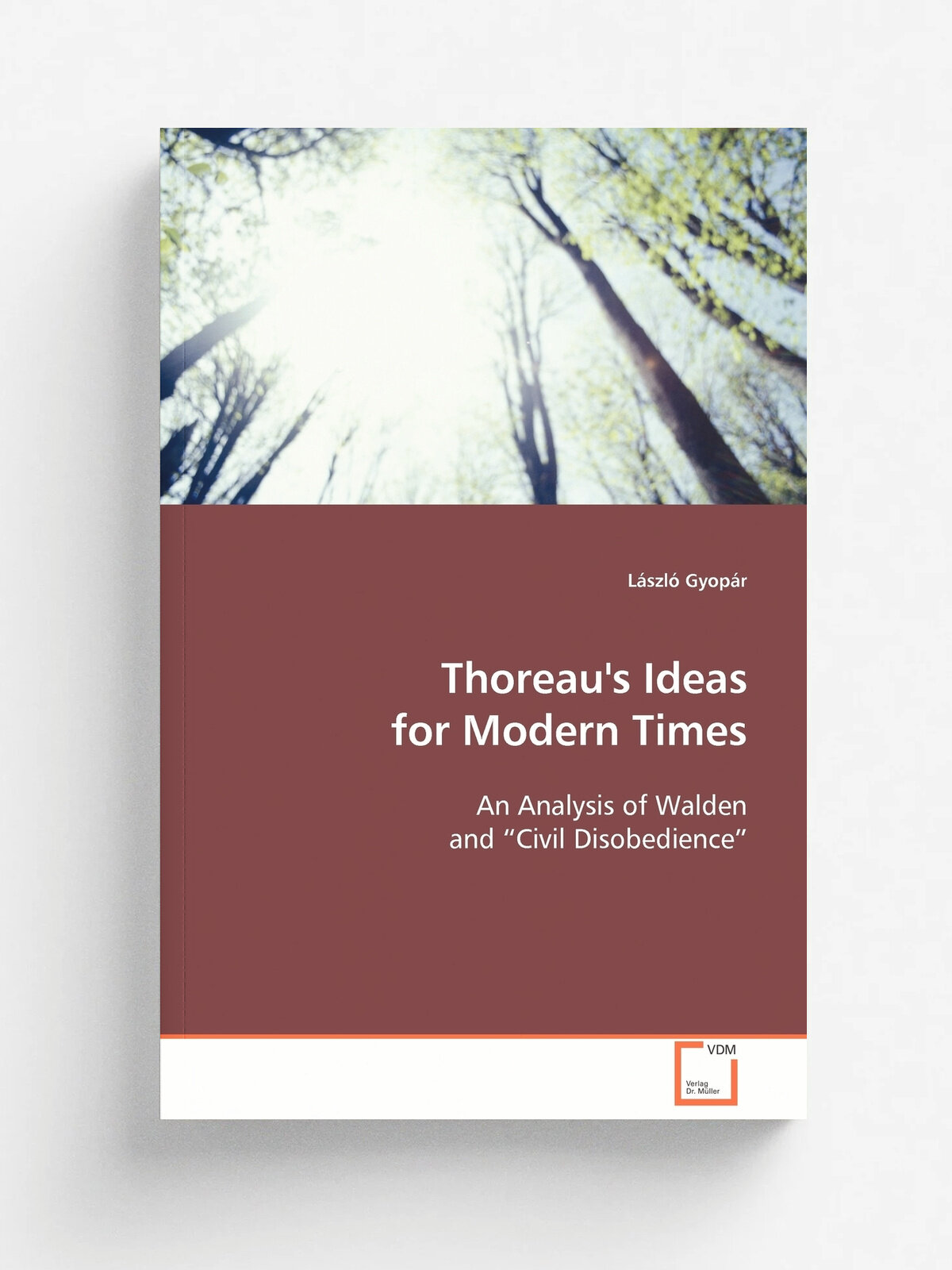 Thoreau's Ideas for Modern Times