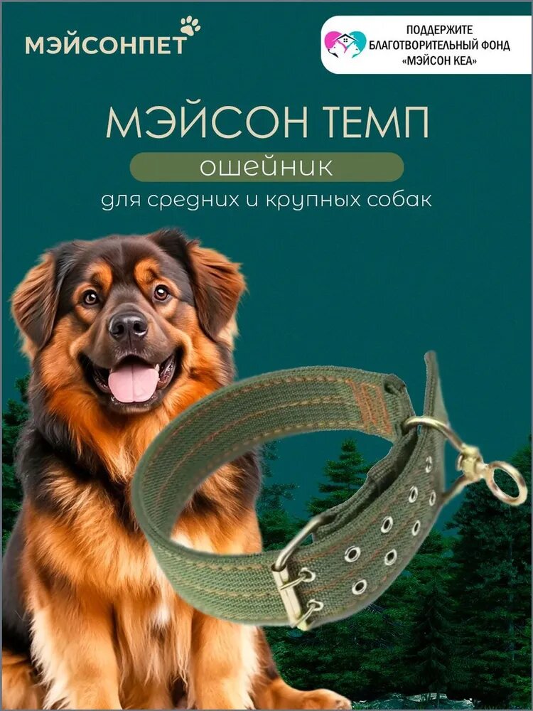 Усиленный нейлоновый ошейник с вертлюгом для крупных и средних собак, 50 мм шириной и 70 см длиной, популярный