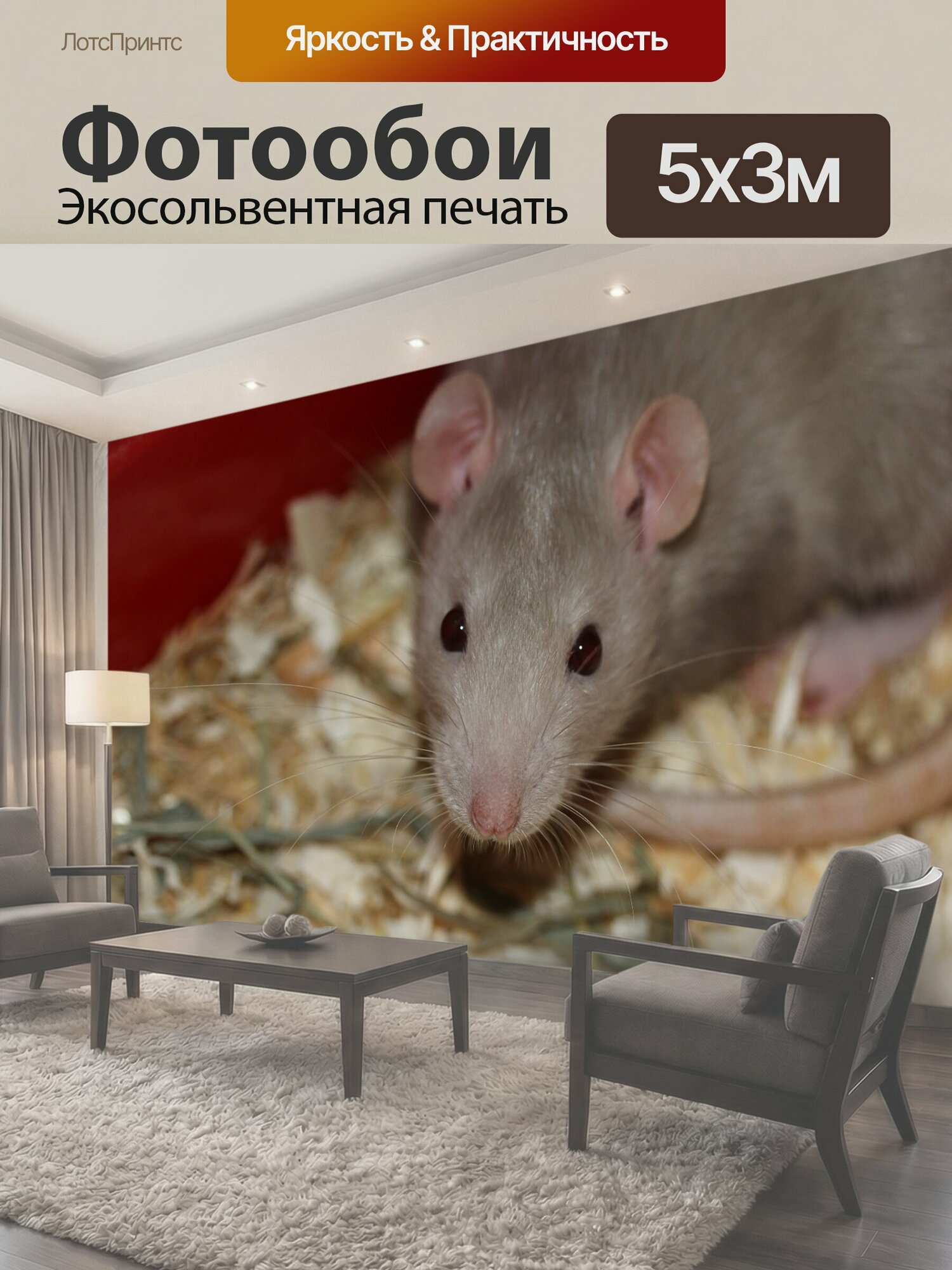 Фотообои "Крыса, грызун, волк вниз" 500x300 см. экосольвентная печать