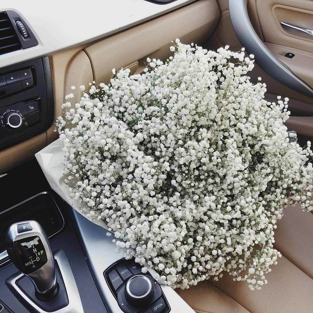 Монобукет "25 белых гипсофилов" Венера в цветах, 25 цветов, высота 50 см