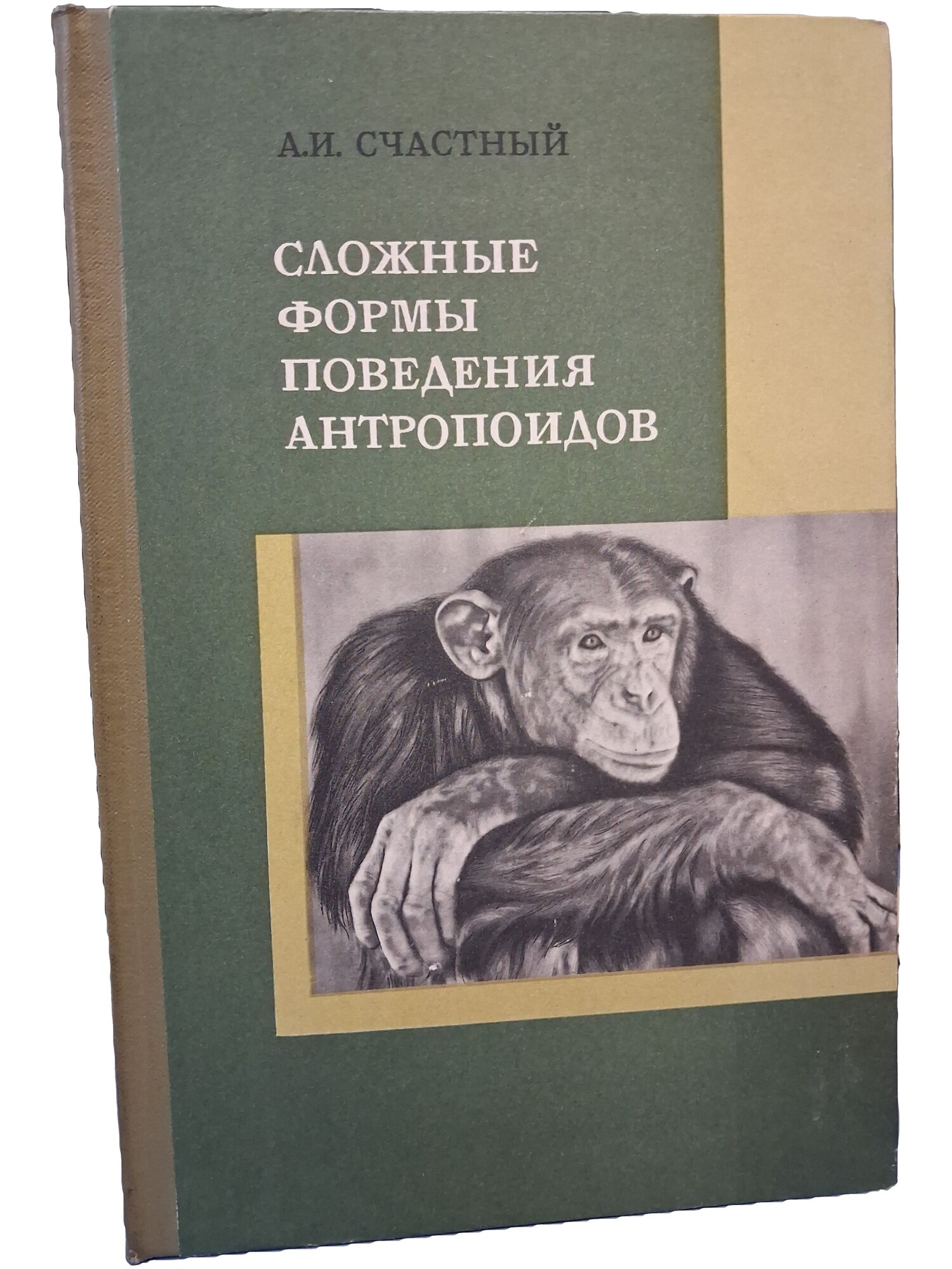 Сложные формы поведения антропоидов. Физиологическое изучение «произвольной» деятельности шимпанзе