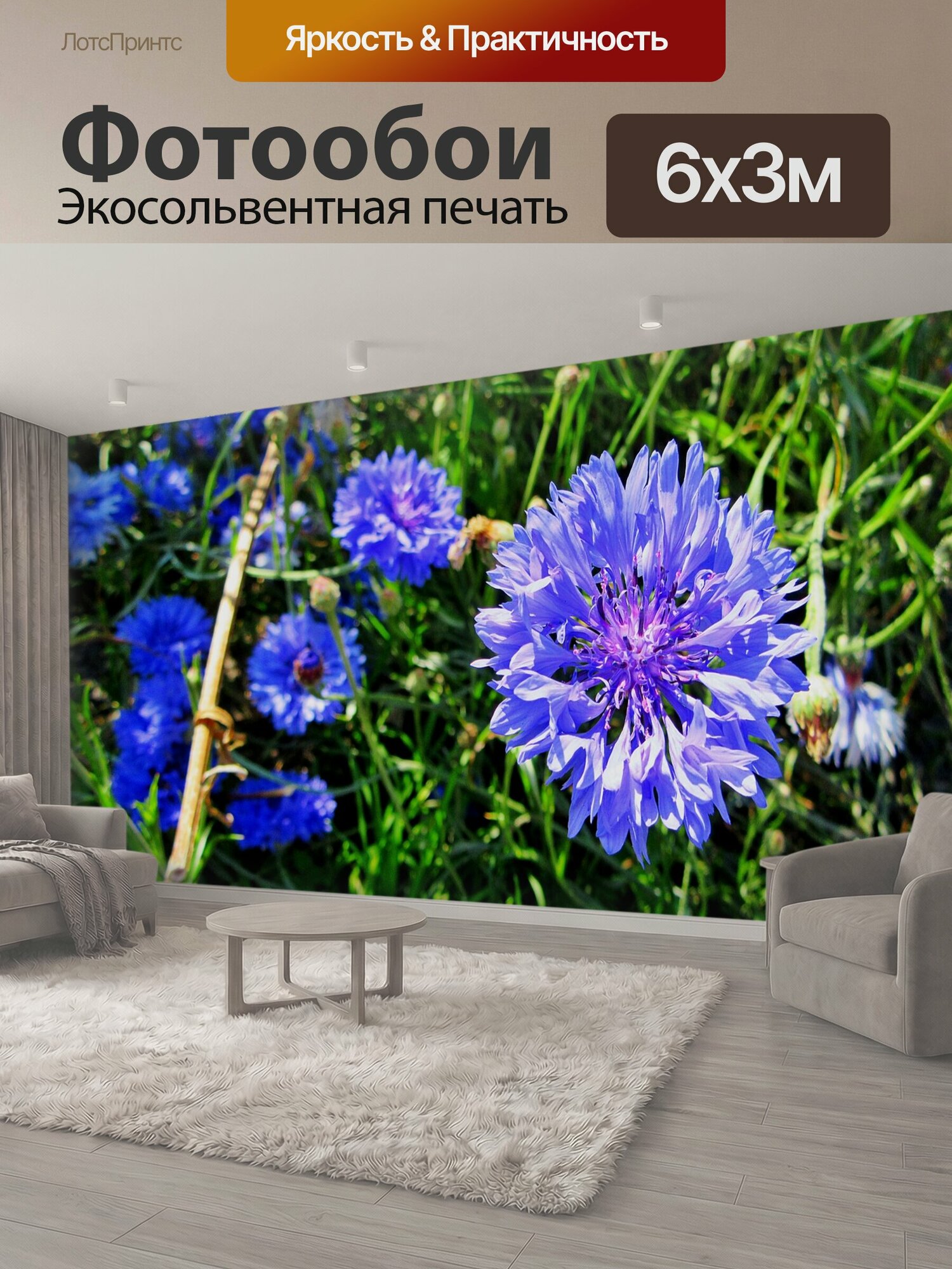 Фотообои "Васильковый, синий цветок, васильки" 600x300 см. экосольвентная печать