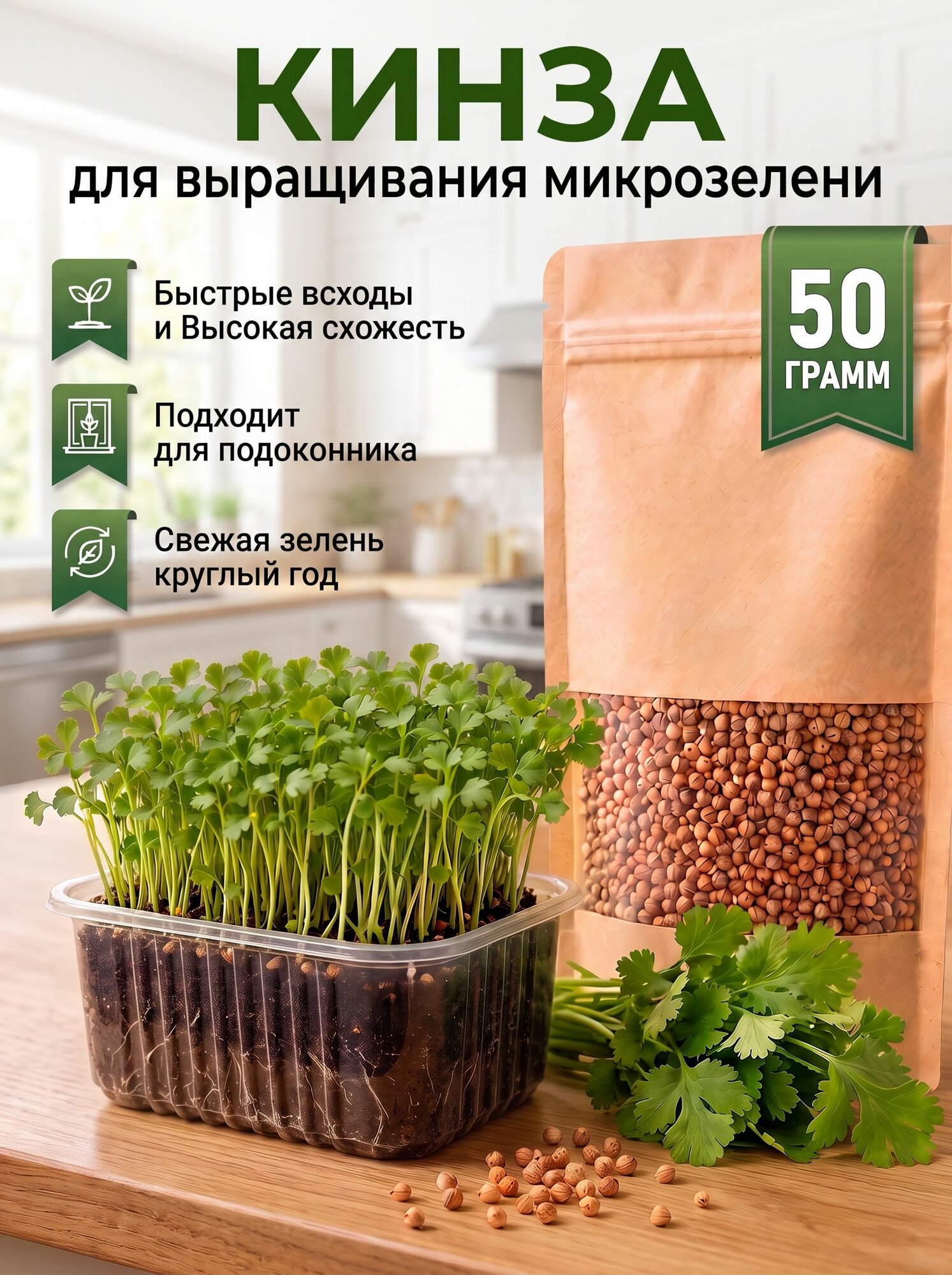 Семена кинзы Санто для микрозелени и огорода 50 грамм