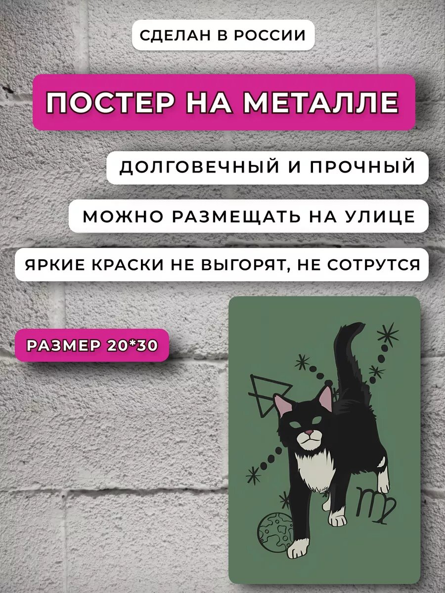 Котик дева постер — фото 1