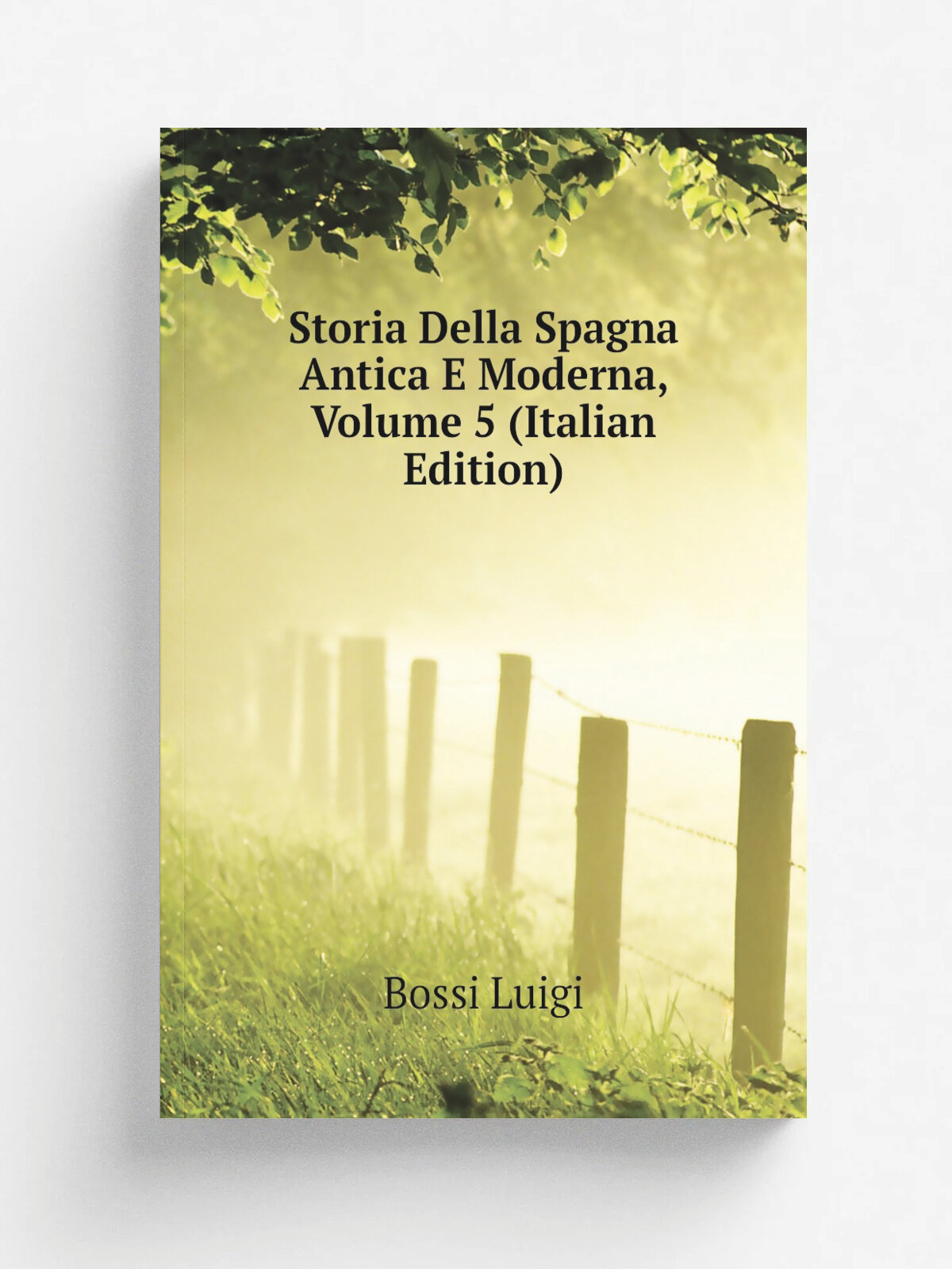Storia Della Spagna Antica E Moderna, Volume 5 (Italian Edition) | Bossi Luigi | Репринт