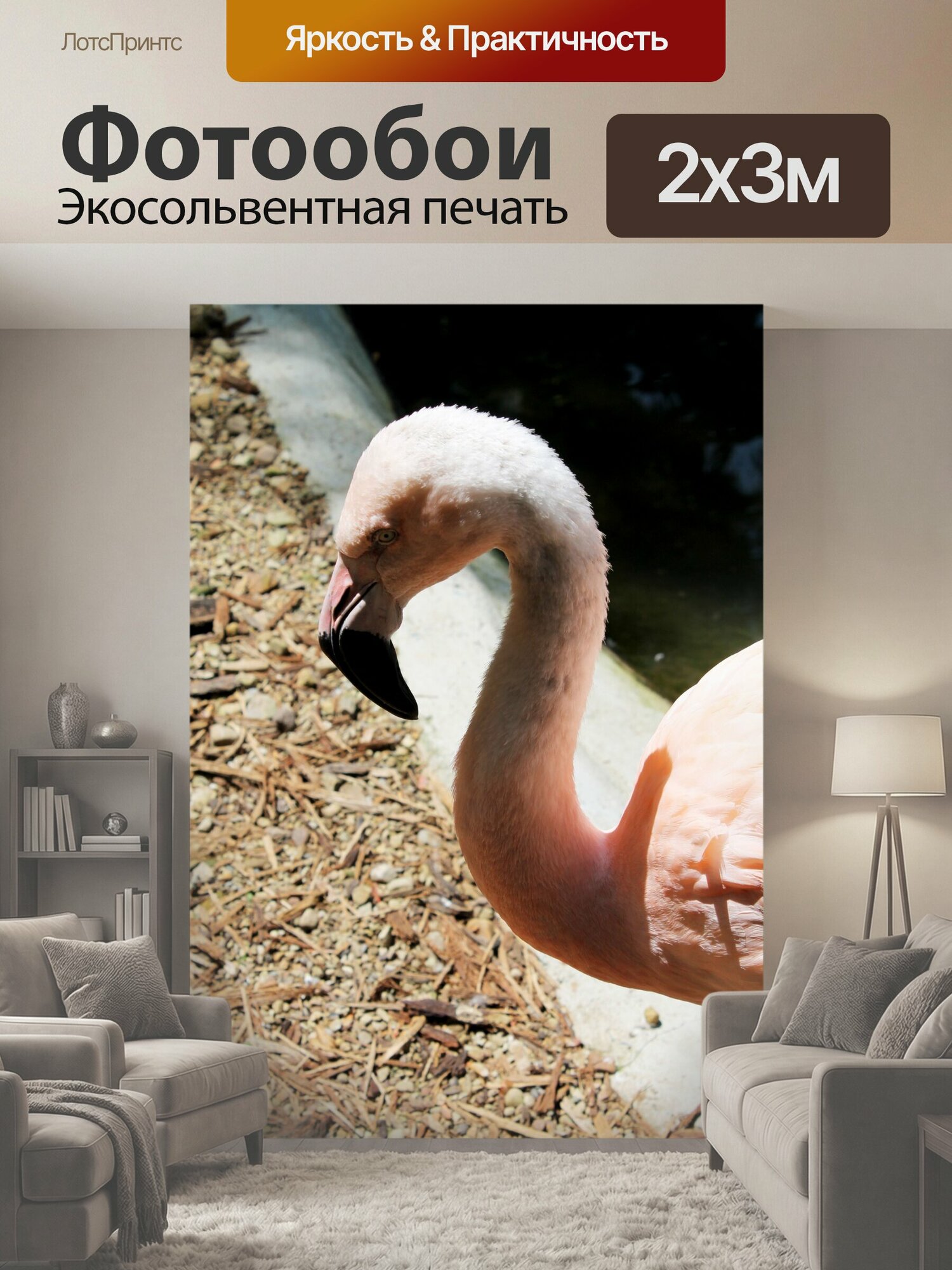 Фотообои "Flamingo - 01 Flamingo Close Up фламинго голова животное клюв птица розовый" 200x300 см. экосольвентная печать