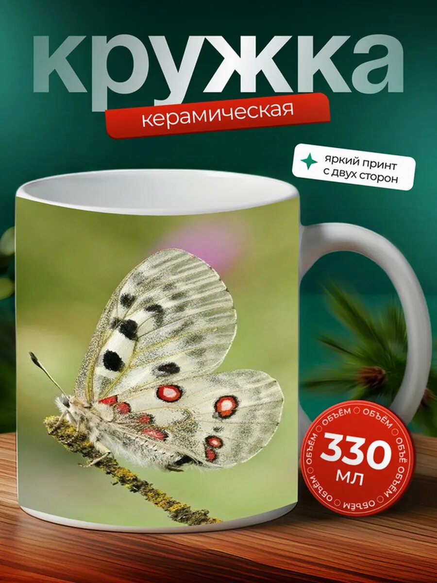 Кружка Аполлон насекомое 14,