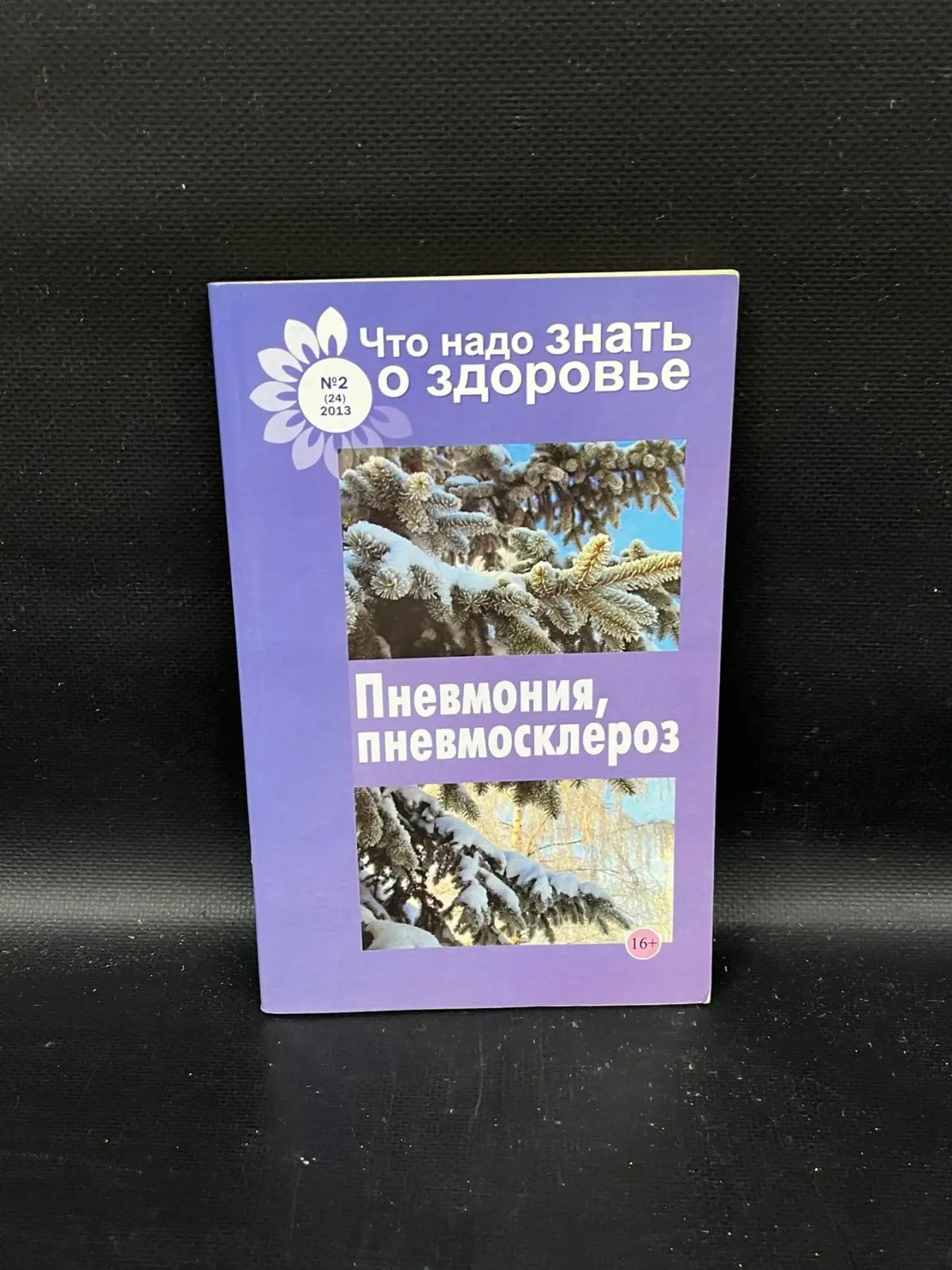 Пневмония, пневмосклероз. Что надо знать о здоровье №2 (24) 2013.