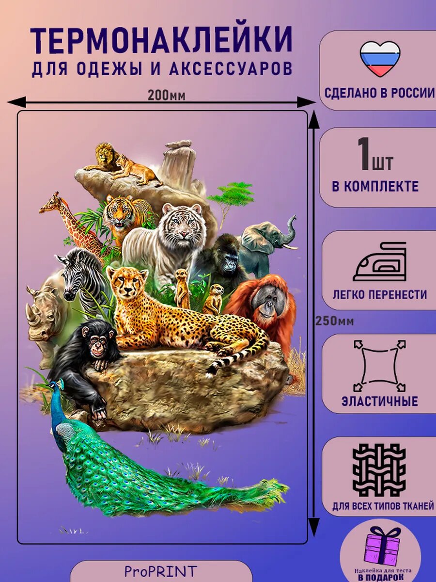 Термонаклейка на одежду