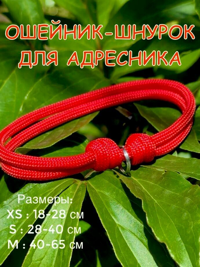 Ошейник-Шнурок для адресника из паракорда, ярко красный, M (40-65см)