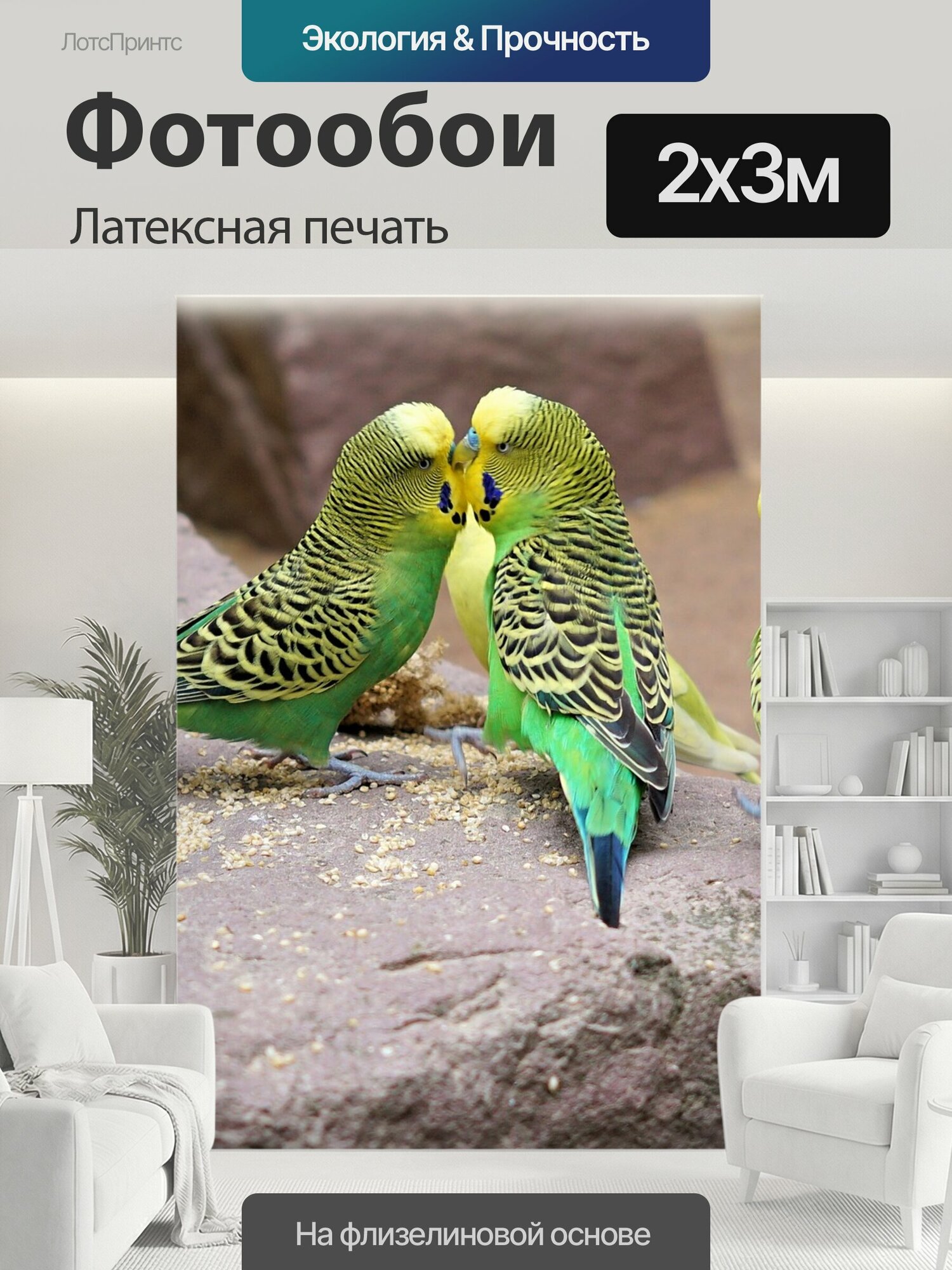 Фотообои моющиеся ударопрочные "Волнистый попугайчик, птица, попугай" 200x300 см. латексная печать