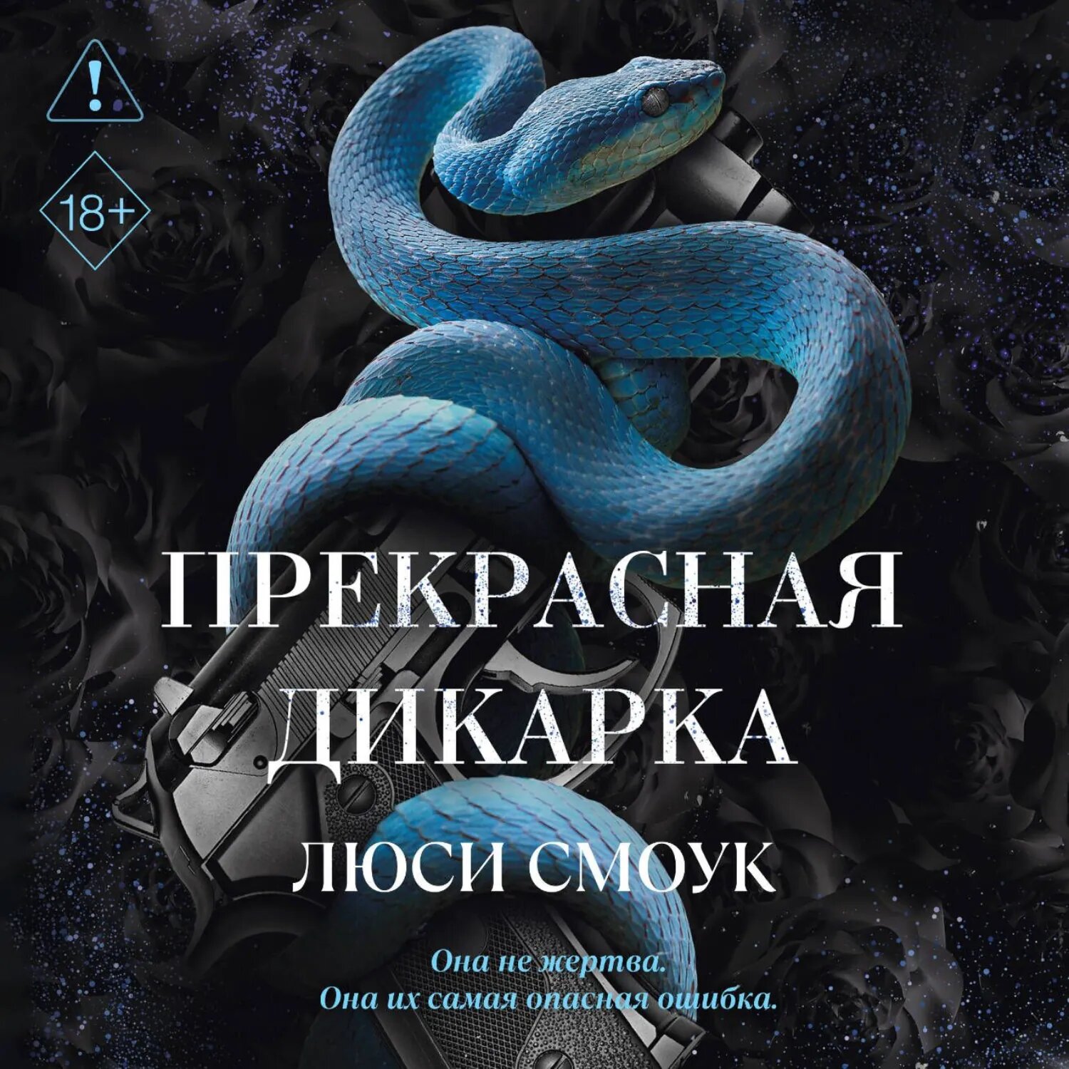 Бешеные парни. Прекрасная дикарка [Аудиокнига]