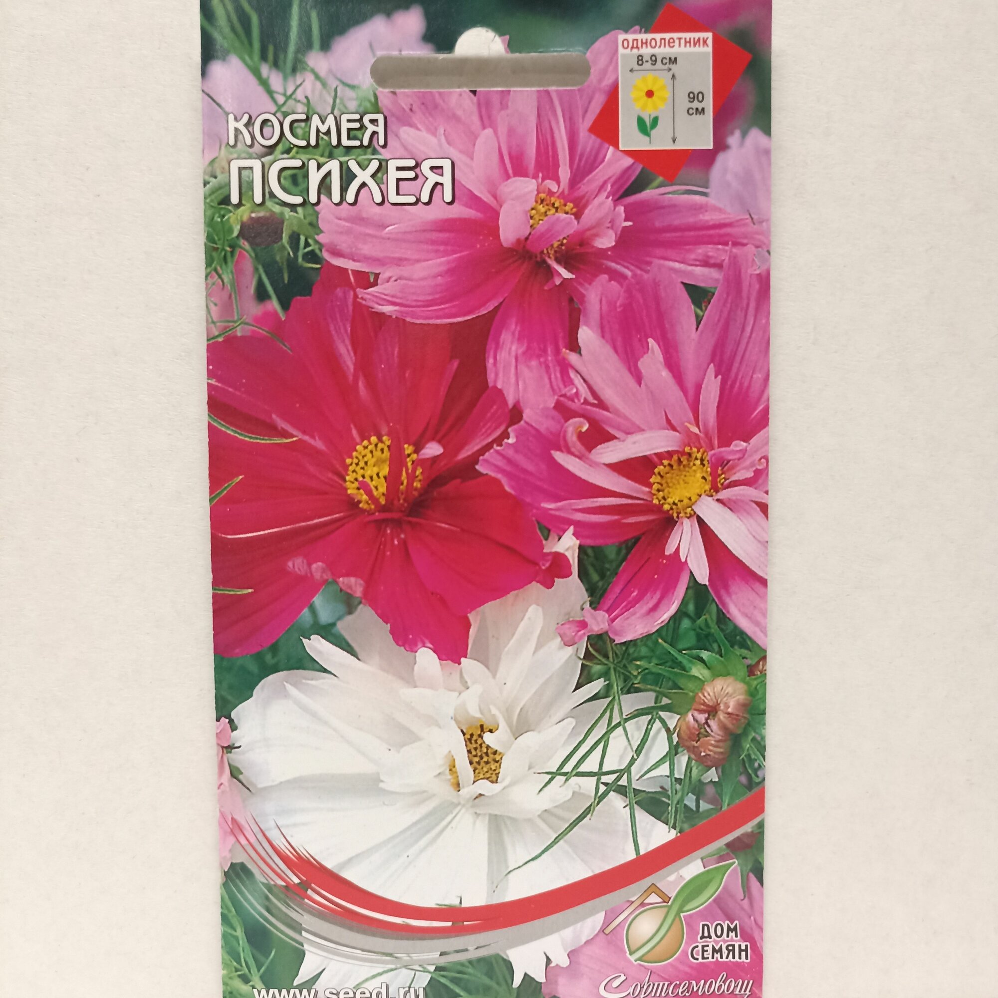 Космея махровая Психея, 45 семян семена космеи махровая для посадки семена цветов для сада