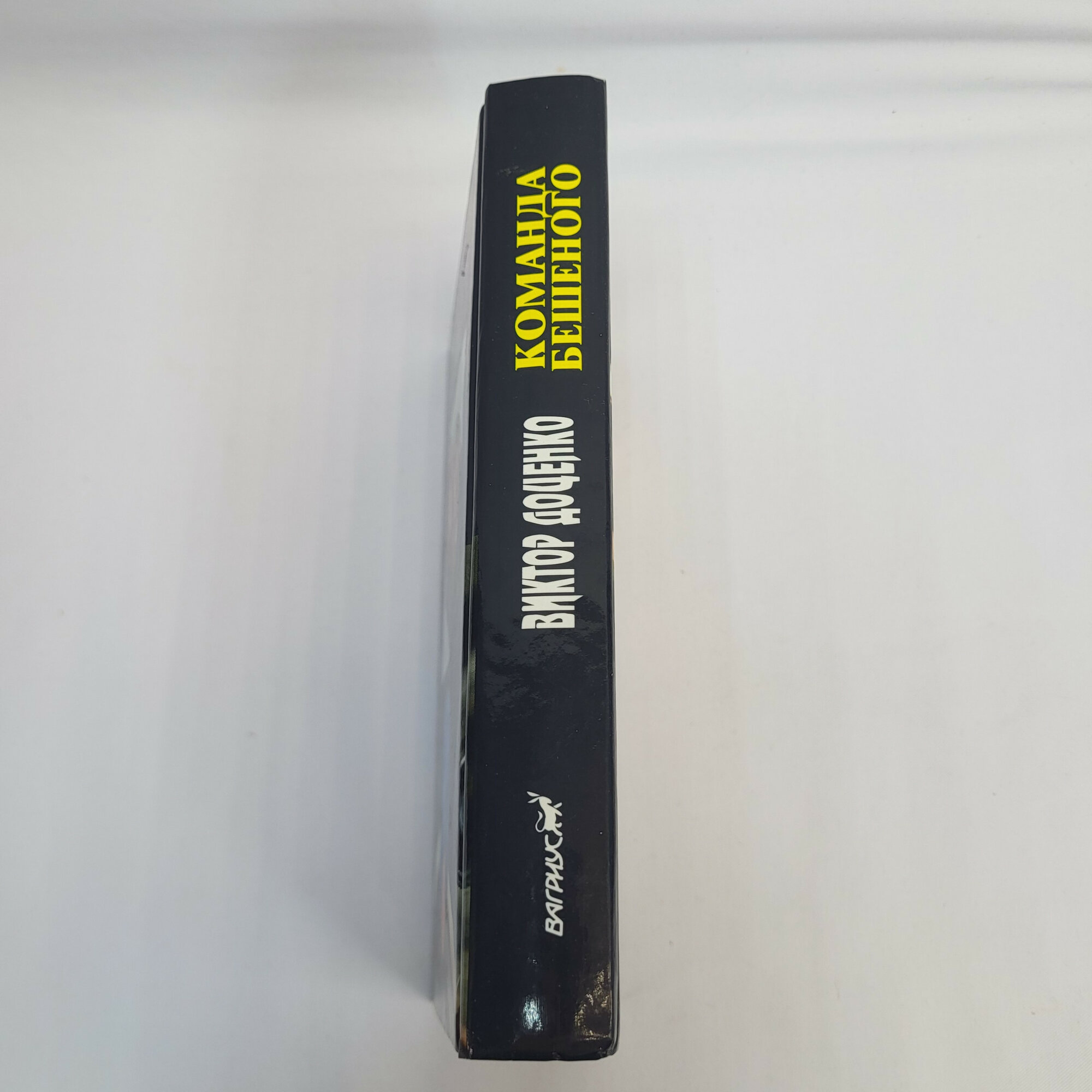 Виктор Доценко. Команда бешеного. Книга, боевик — фото 1