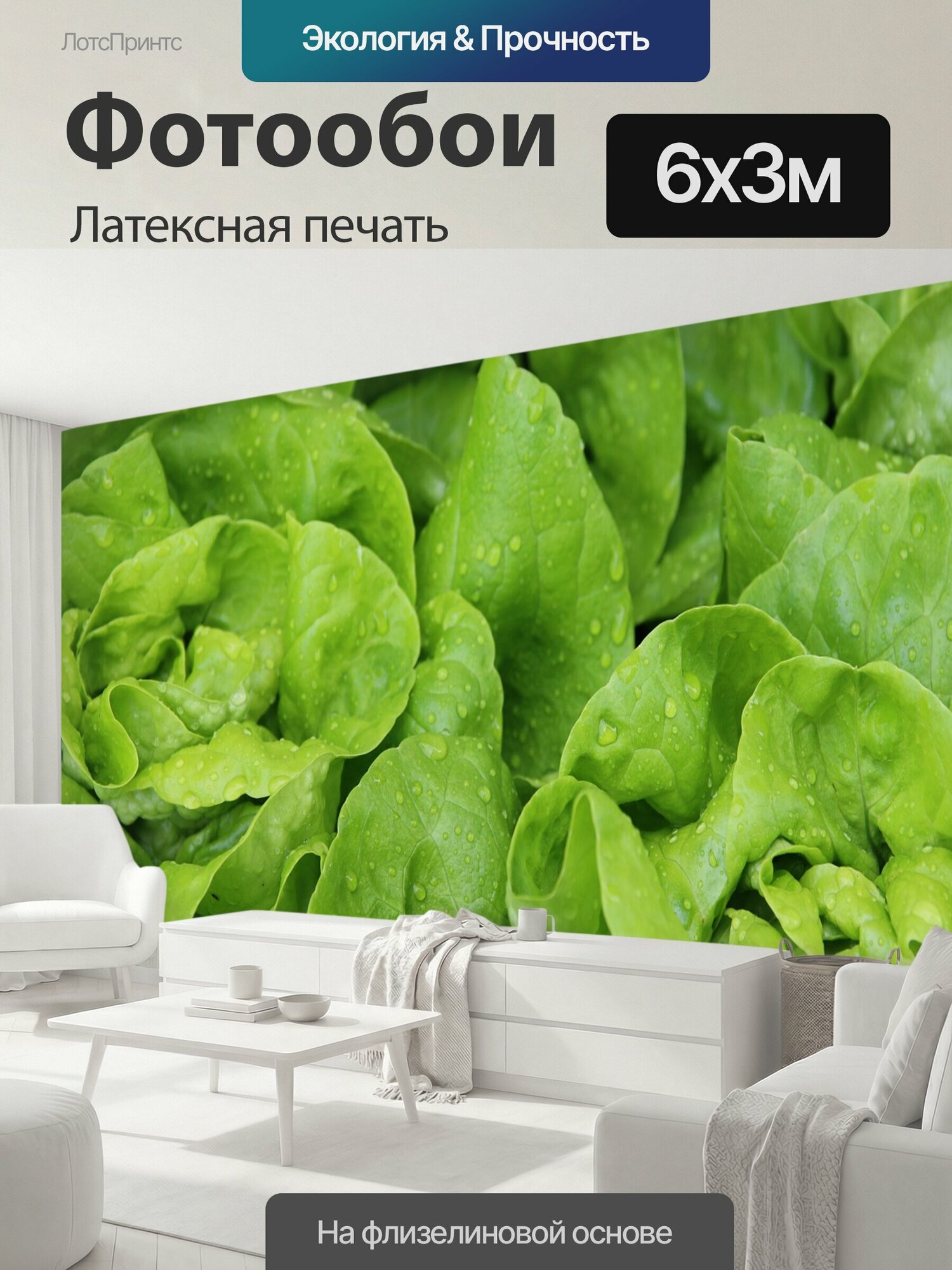Фотообои моющиеся ударопрочные "Салат, листья салата, латук" 600x300 см. латексная печать