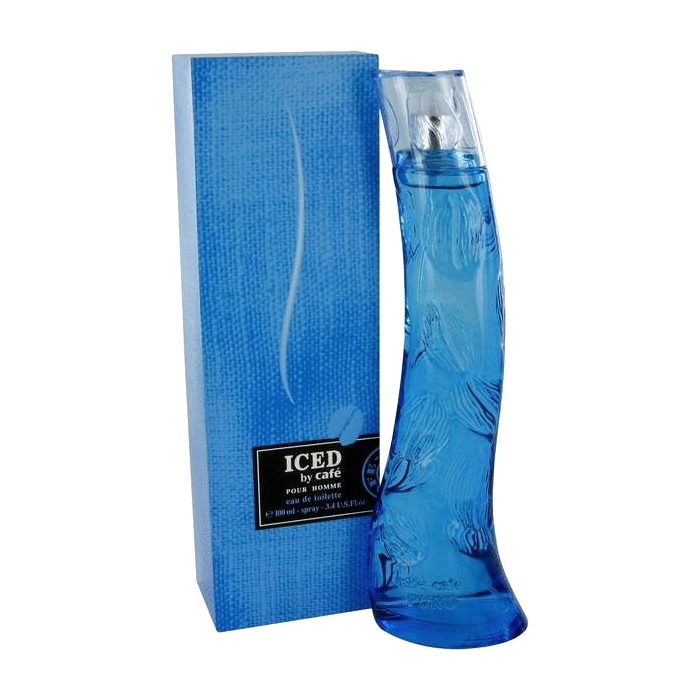 Iced Pour Homme мужская туалетная вода 100 мл - Парфюмкафе Айс Пур Хом