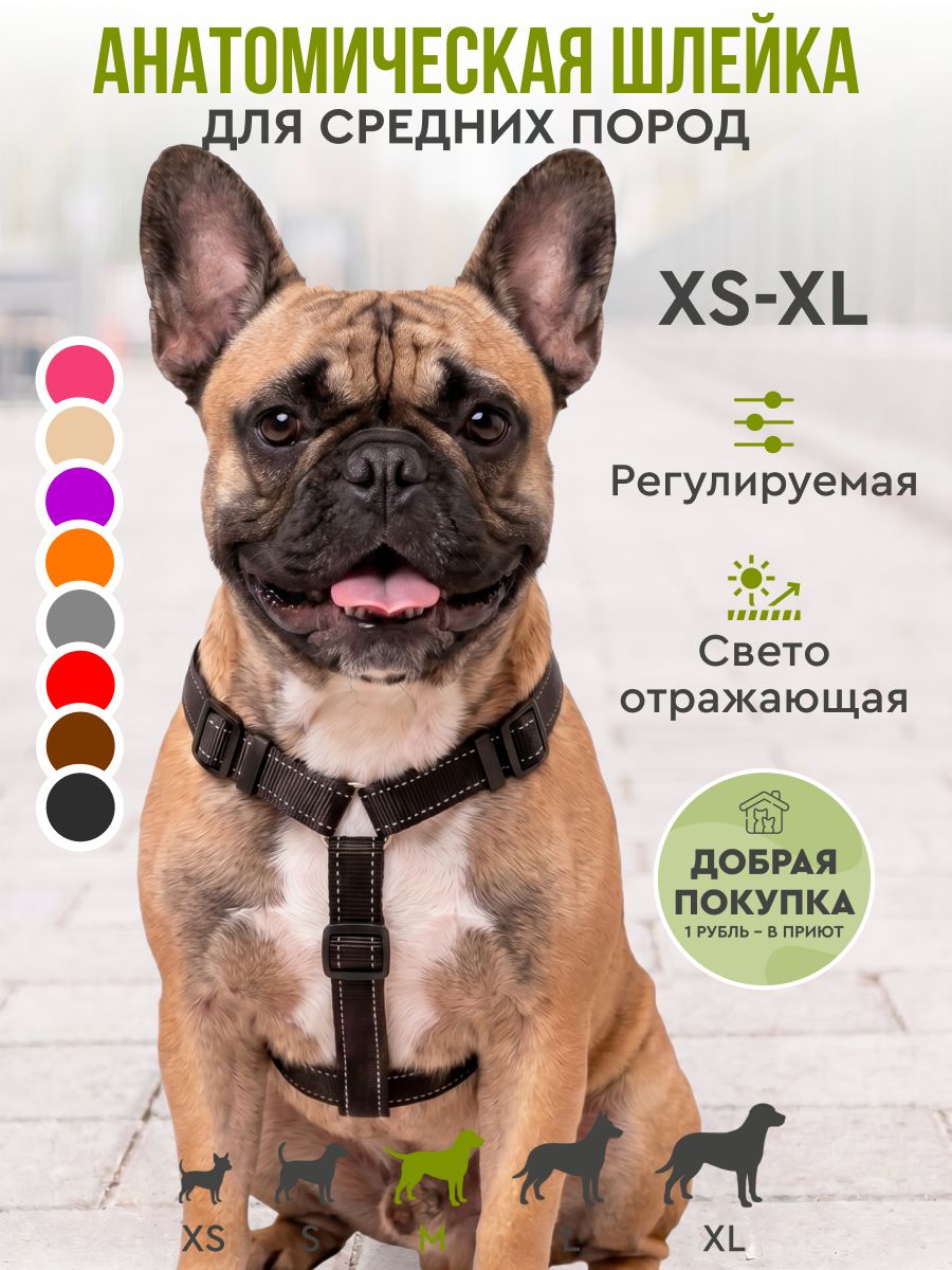 Анатомическая регулируемая шлейка для собак средних пород MiloPets, M