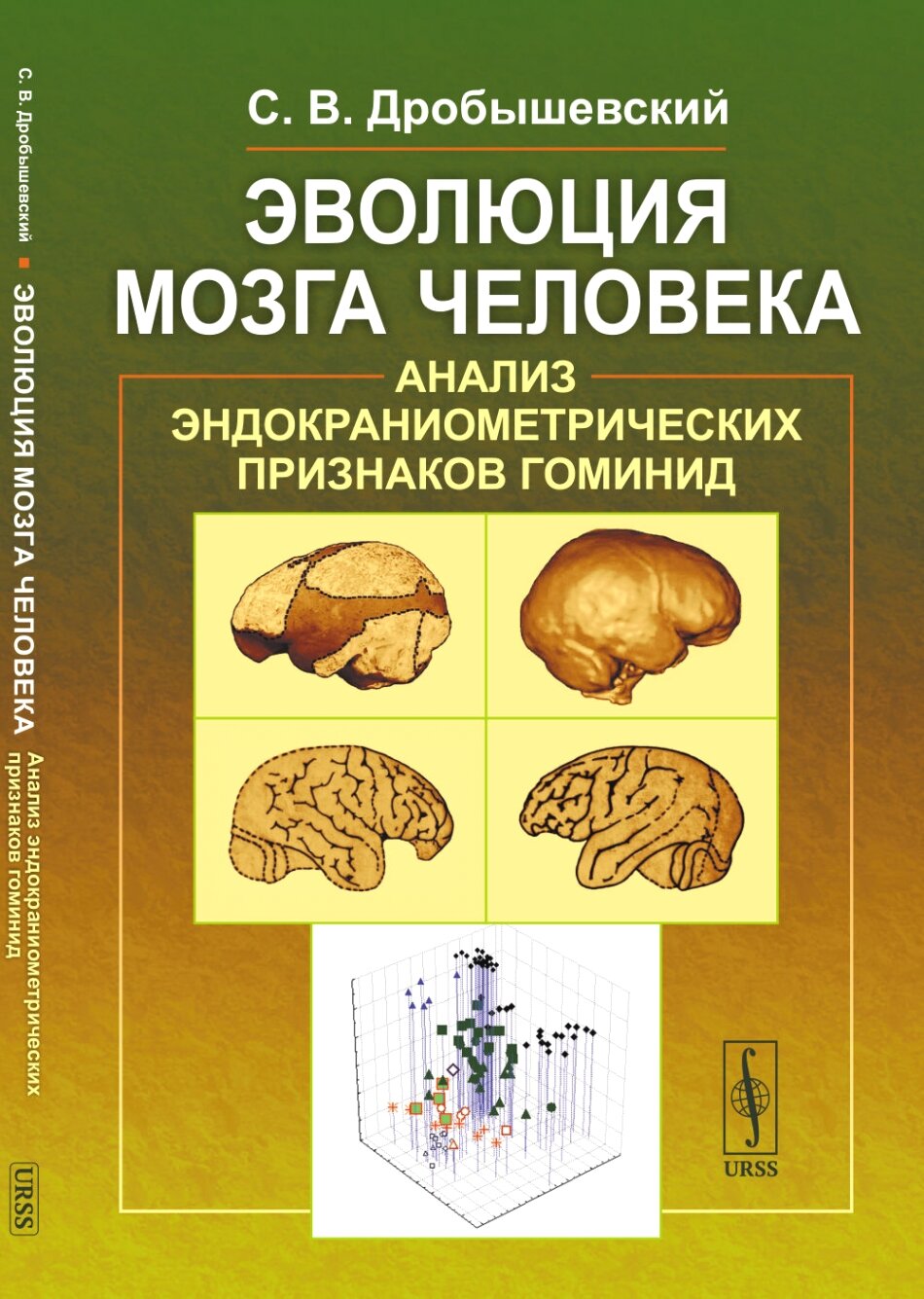 Эволюция мозга человека: Анализ эндокраниометрических признаков гоминид