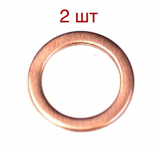 Chery Шайба сливной пробки двигателя, 481H1002041, 16х22х1.5мм 2шт