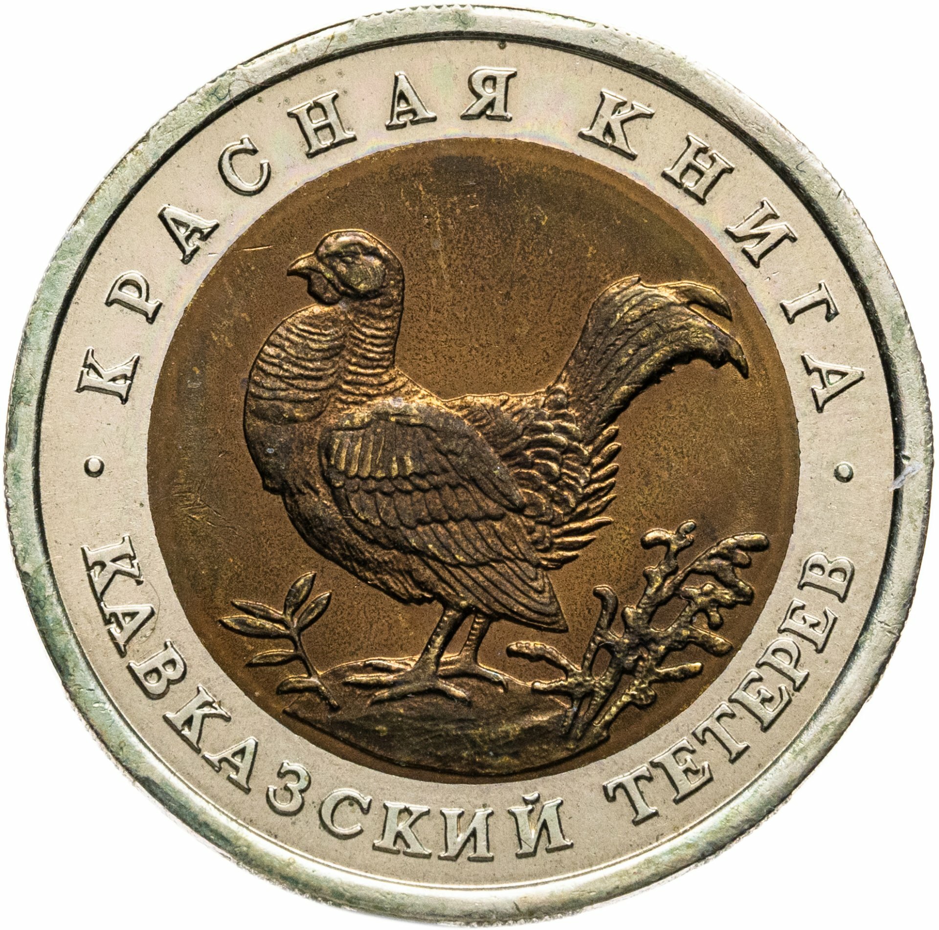 50 рублей 1993 ЛМД Кавказский тетерев, Биметалл, в сохранности XF