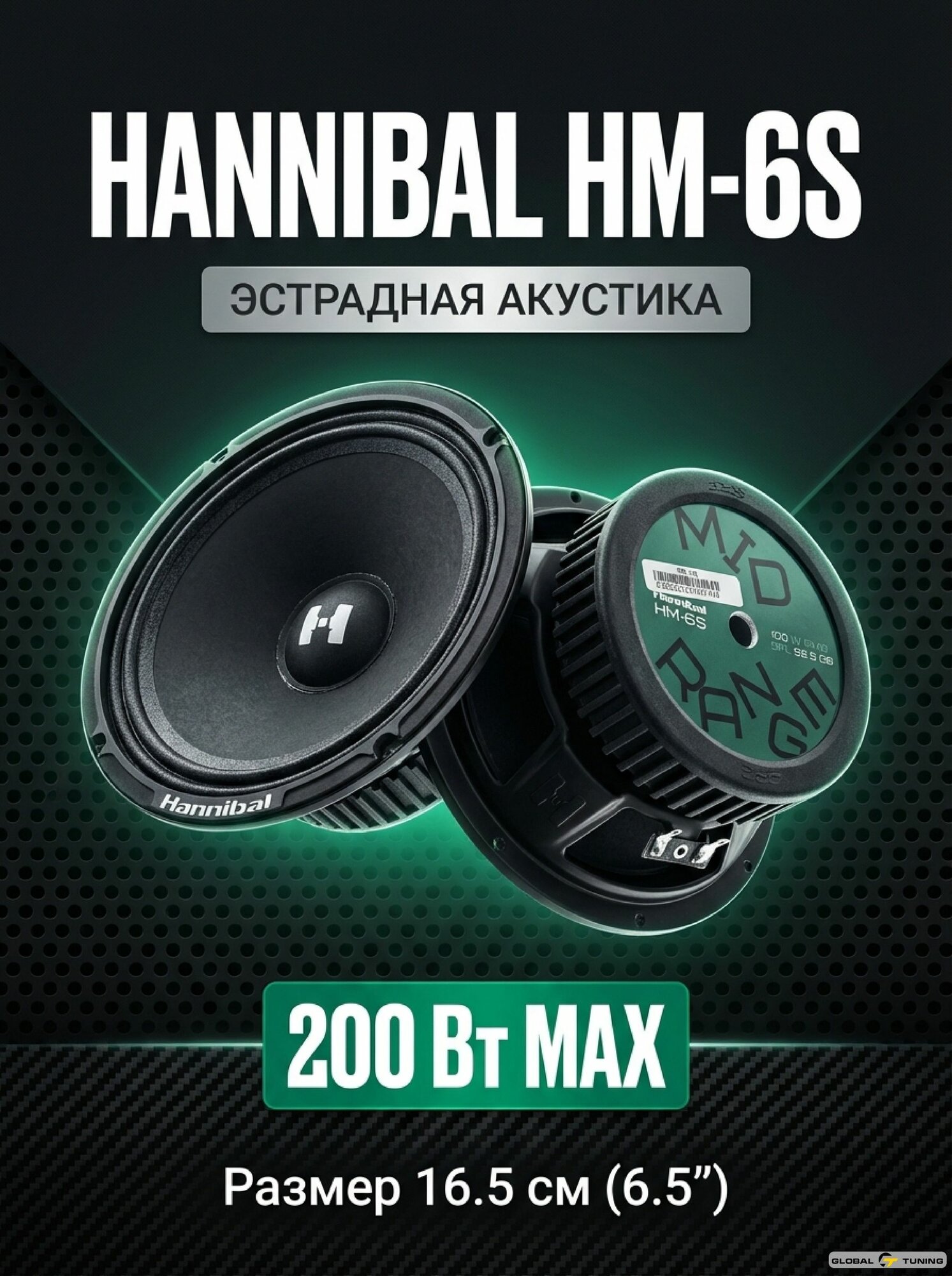 Динамики автомобильные Alphard Hannibal HM-6S 16,5 см