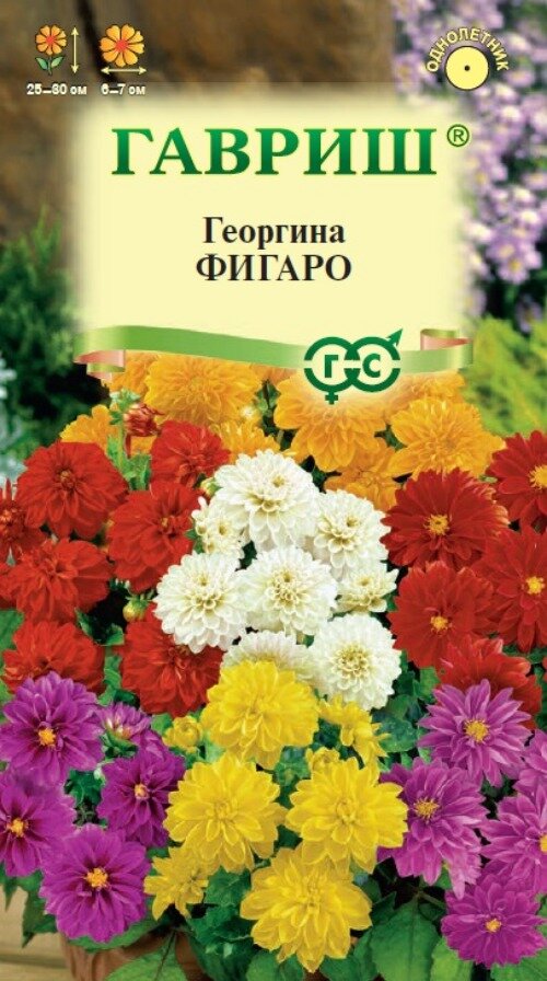 Семена георгины Гавриш Фигаро смесь, шаровидная, 7 шт 1071857500