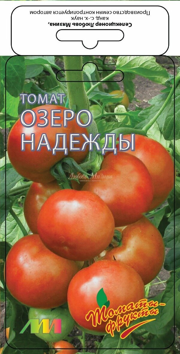 Семена томата Любовь Мязина Озеро Надежды, раннеспелый, детерминантный, 10 шт