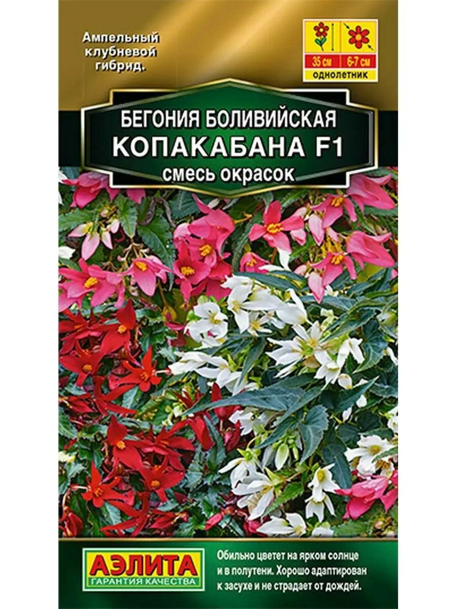 Семена бегонии Аэлита Копакабана, смесь оттенков, ампельная, 5 шт