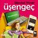 Üşengeç [Аудиокнига]