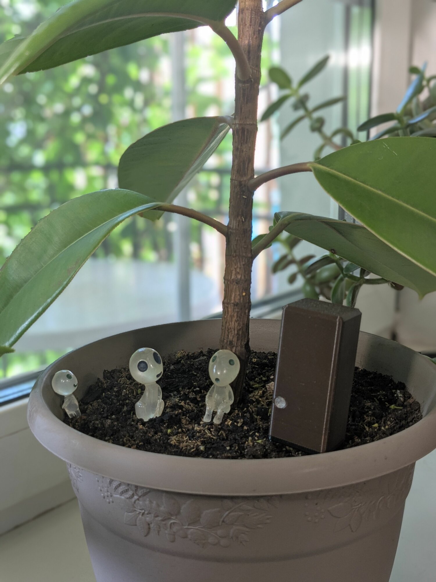 Zigbee датчик влажности почвы с усилителем для Zigbee2MQTT "Компакт". Коричневый