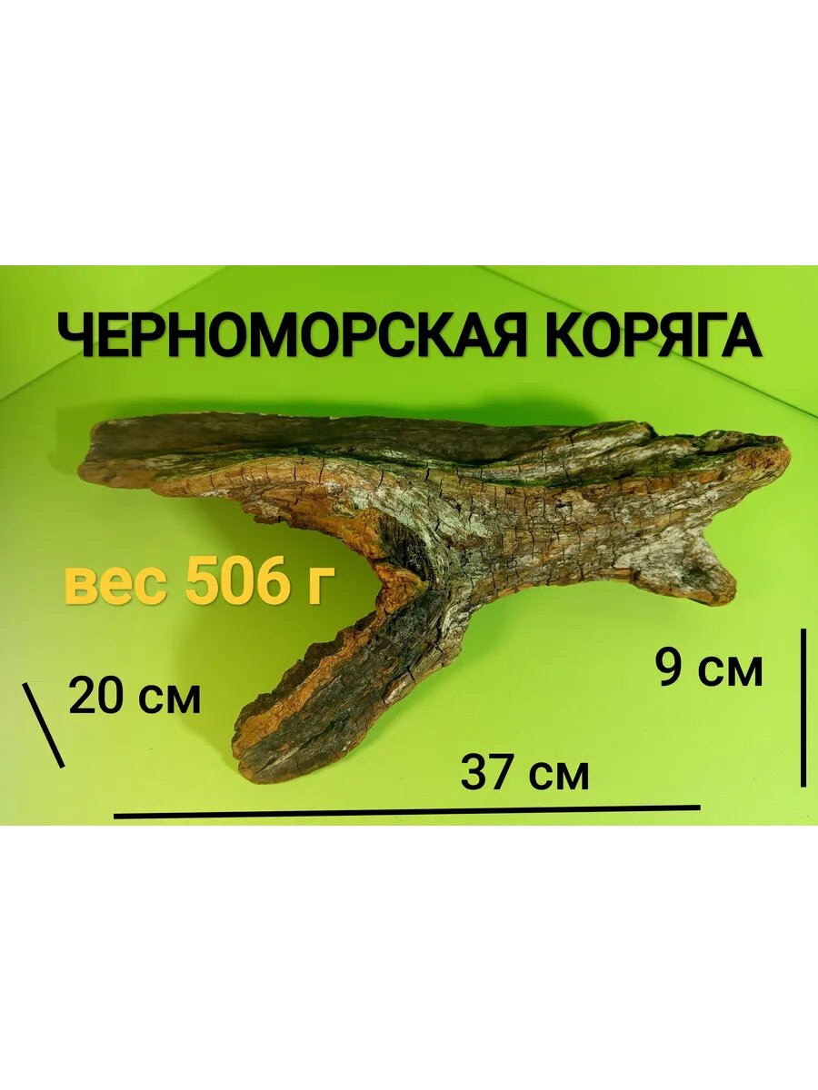 Коряга Черноморская черепаховая для террариума, инсектариума