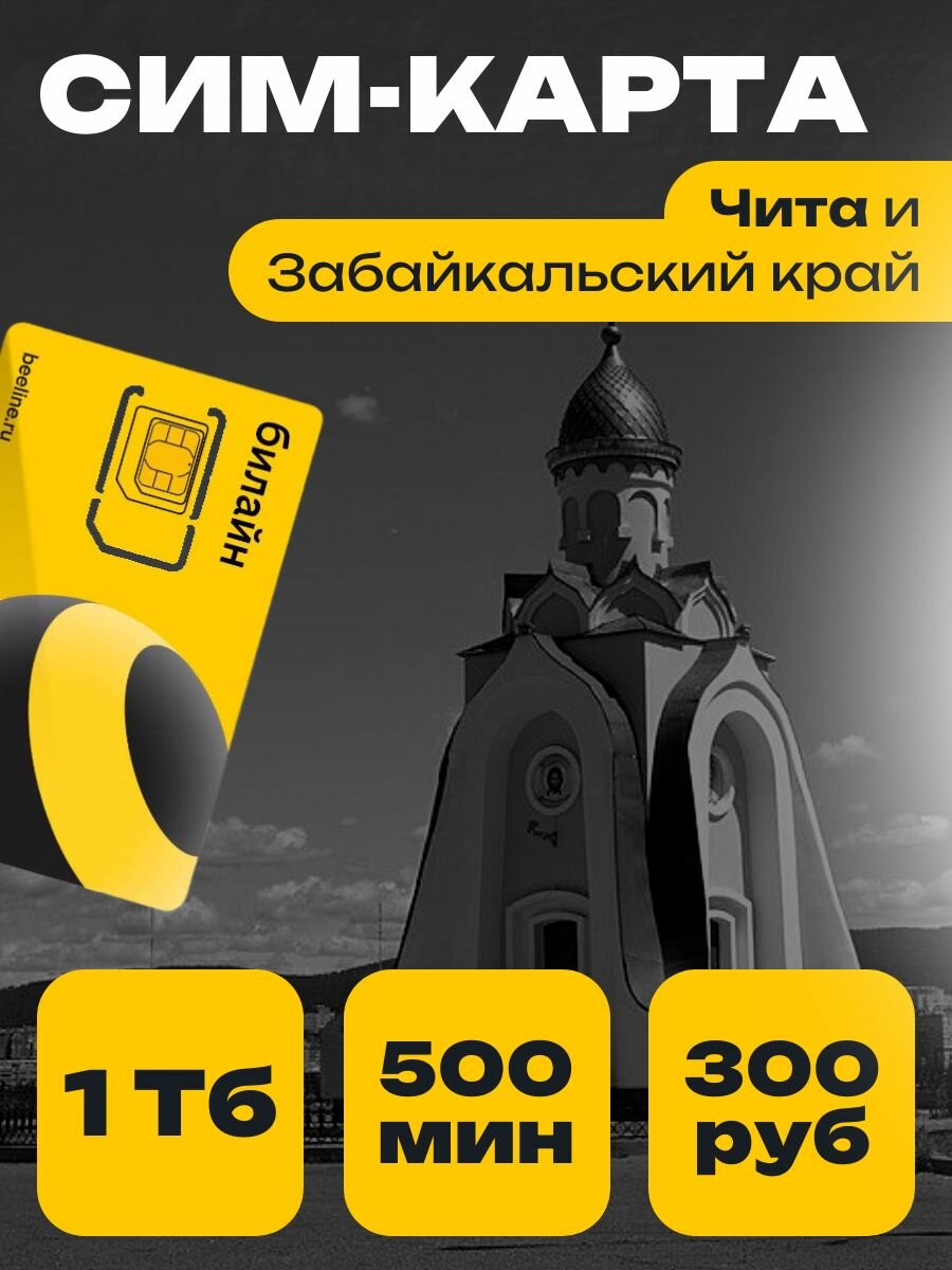 Сим-карта Билайн тариф Эксклюзивный Забайкальский край 1000 Гб + 500 минут за 300 руб.