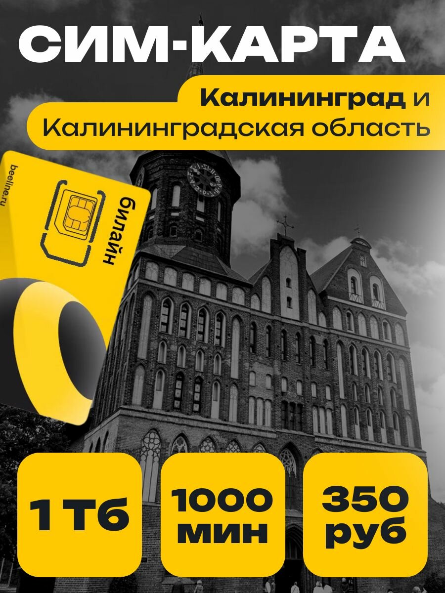 Сим-карта Билайн тариф Эксклюзивный Плюс Калининградская область 1000 Гб + 1000 минут за 350 руб.