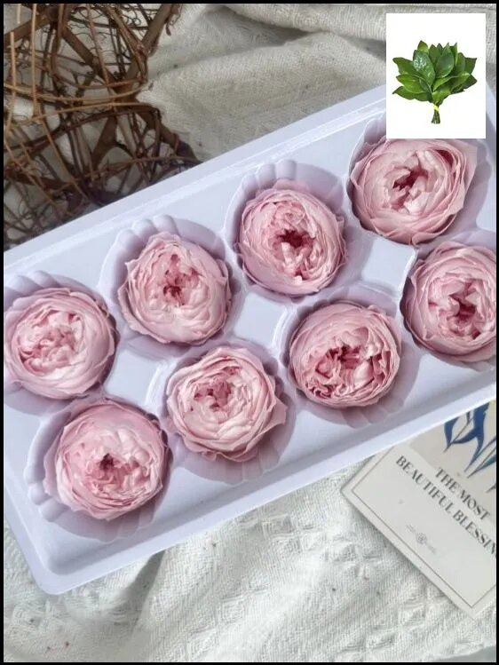 Стабилизированные цветы Роза, 8 шт