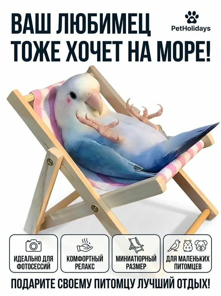 Игрушка для птиц и попугаев шезлонг, деревянный мини пляжный стул для отдыха и фотосессий, для волнистых попугаев, корелл, неразлучников