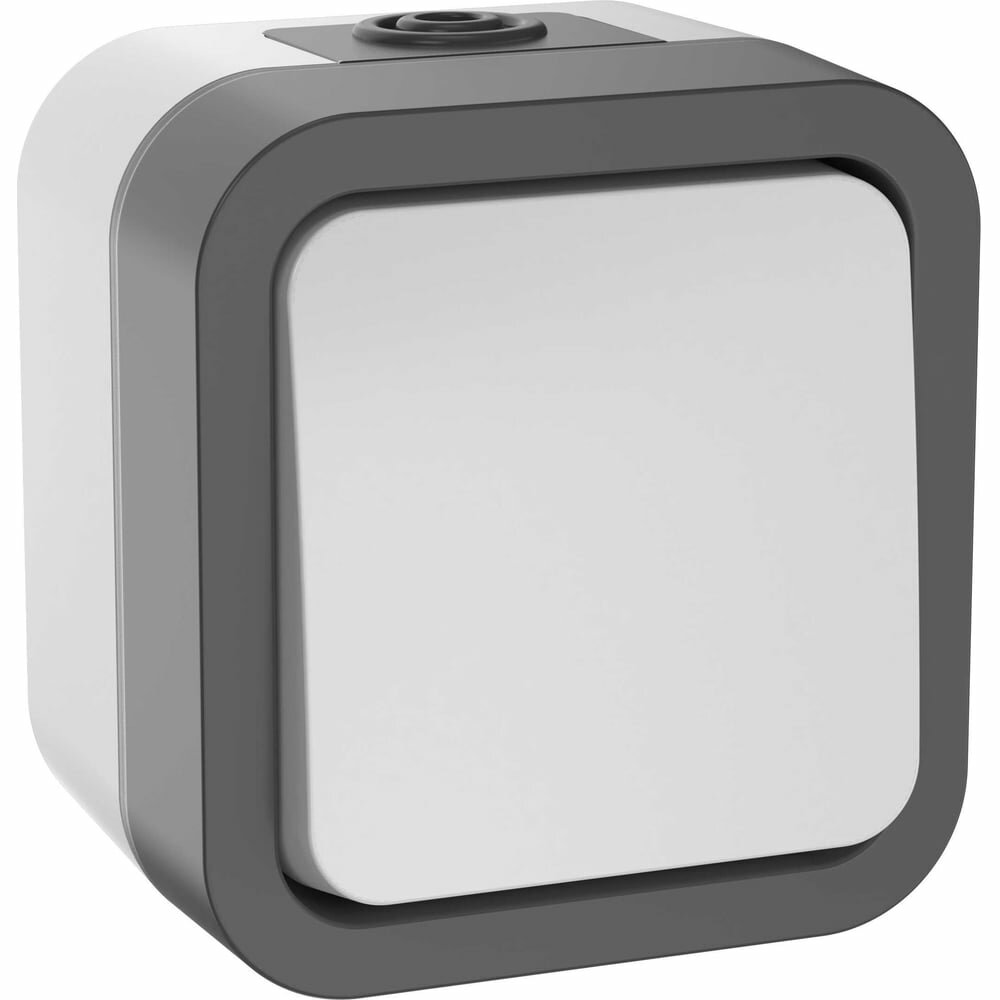 Двухполюсный одноклавишный выключатель IEK Tors 10а ip55 ts211 белый TS-V16-0-10-55-K41