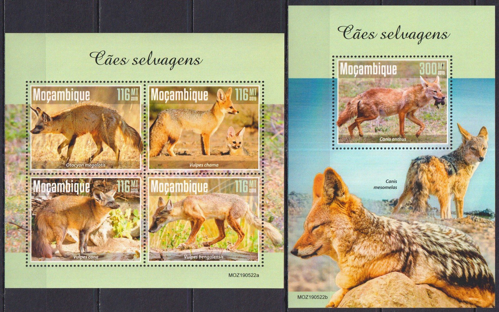 Марки 2019 год Мозамбик Гиены Дикие собаки Животные Фауна #10631-634+Bl1562 Mnh