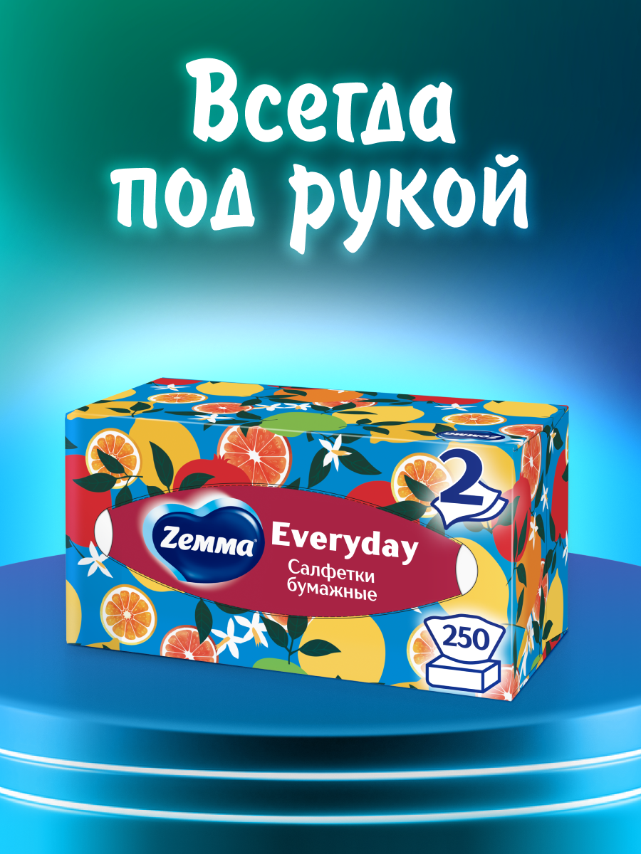 Салфетки бумажные в коробке Zemma Everyday, 2 слоя, 250 шт