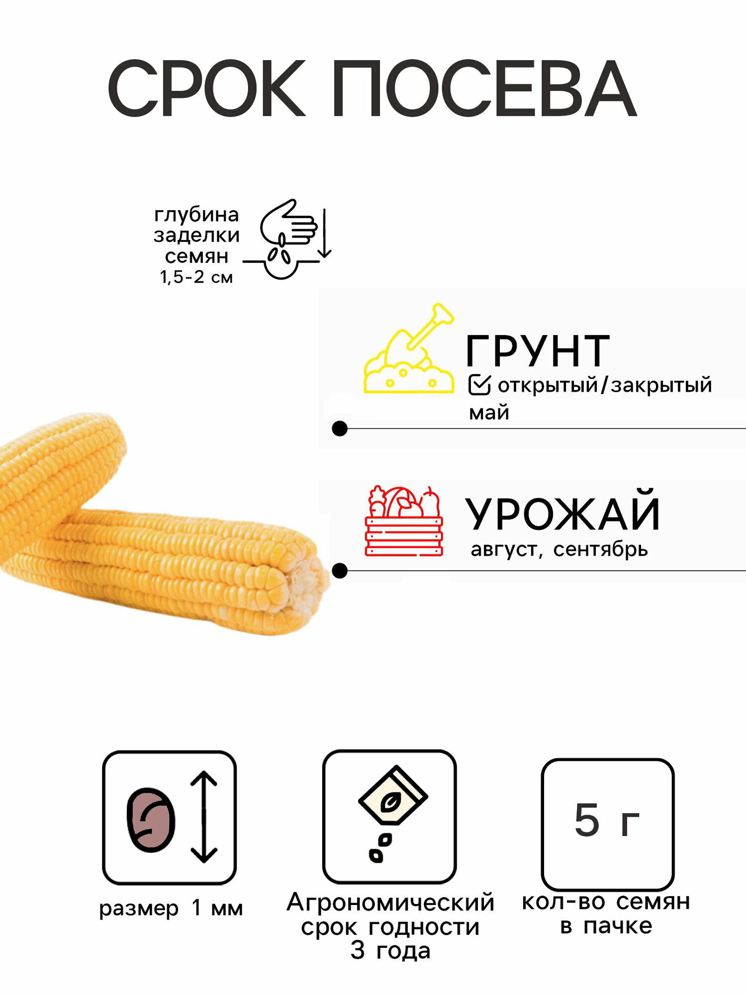 Семена Кукуруза сахарная "Лакомка Белогорья", 5 г, место выращивания: закрытый грунт (теплицы, укрытия), 2 шт.
