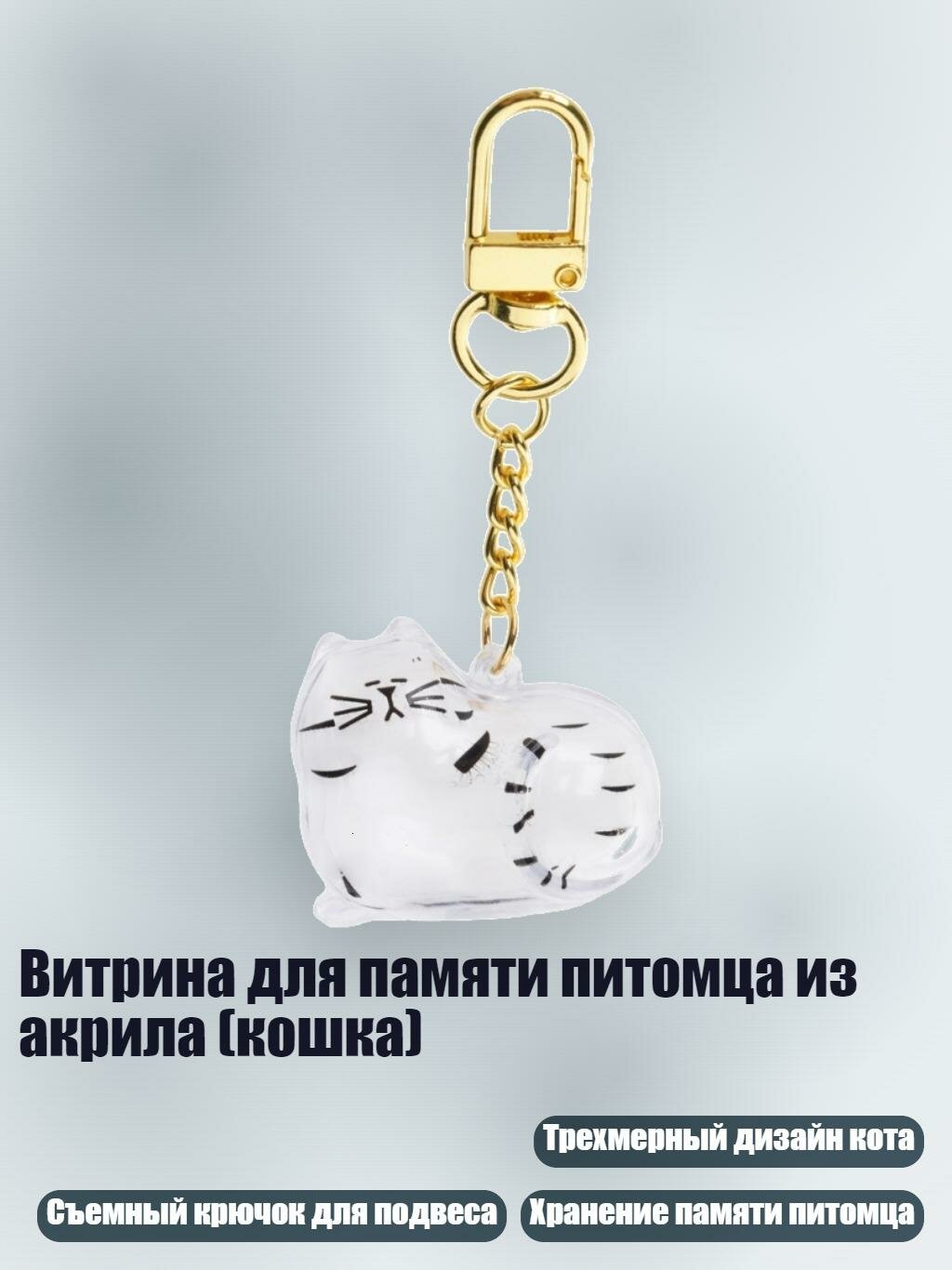 Витрина для памяти питомца из акрила (кошка), Рисунок 2