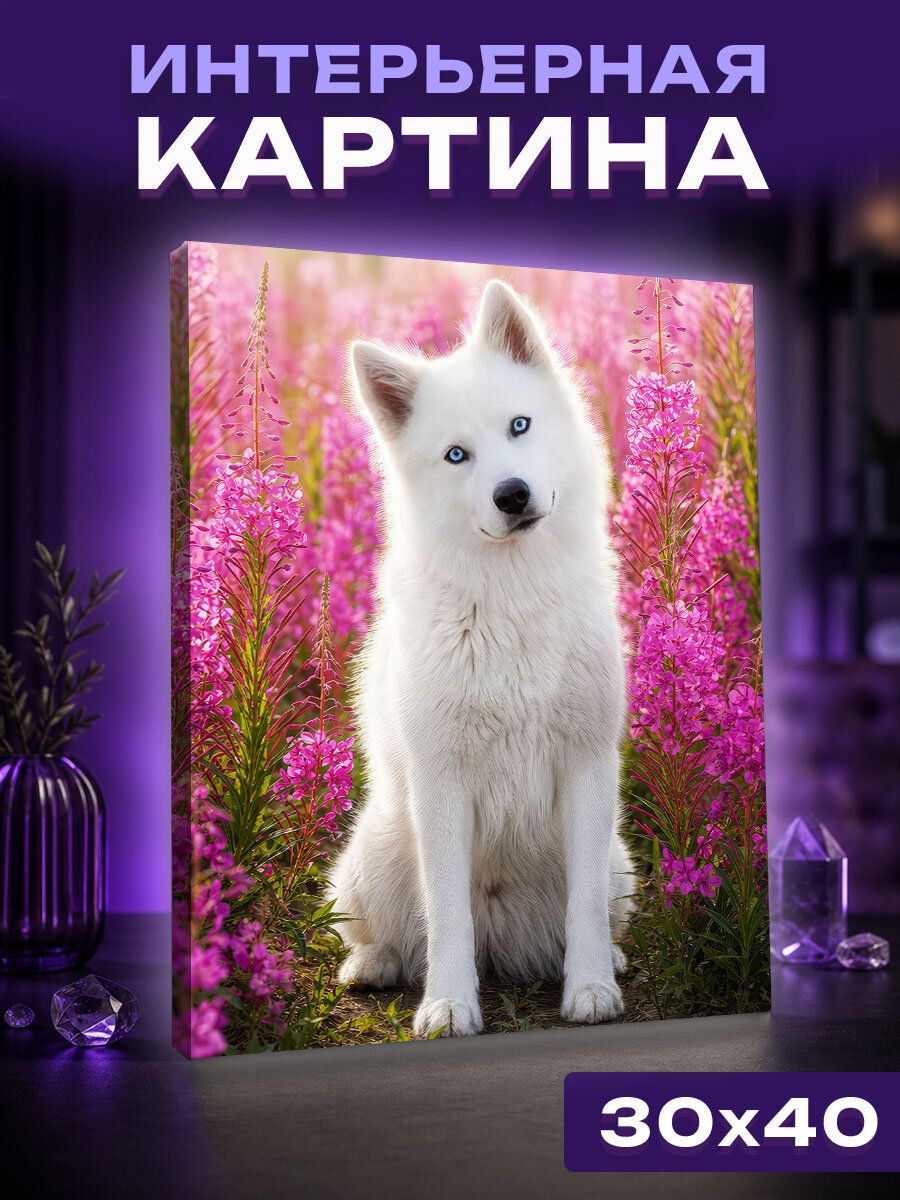 Интерьерная картина Белоснежная якутская лайка в иван-чае