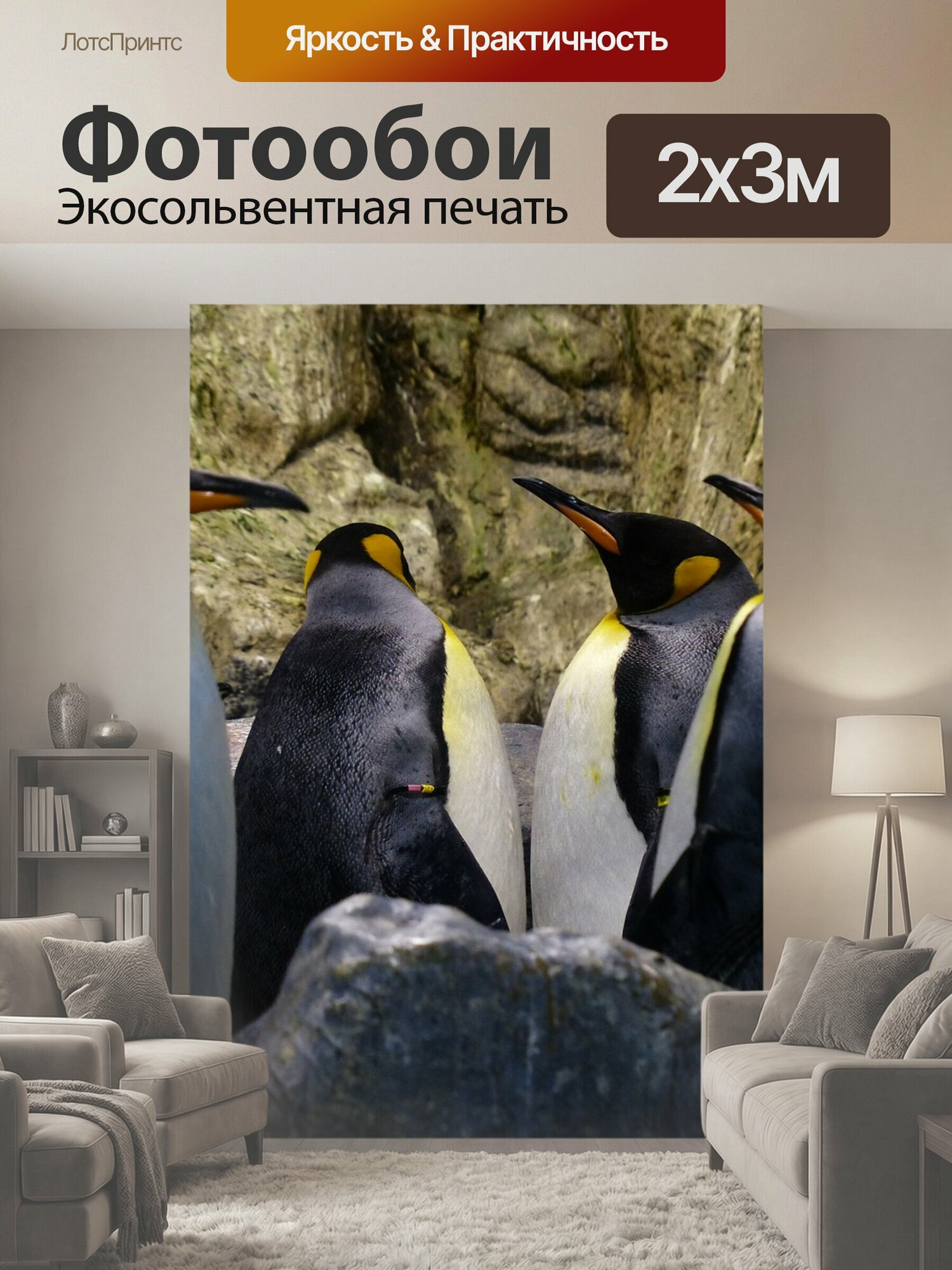 Фотообои "Королевские пингвины, пингвины, aptenodytes patagonicus" 200x300 см. экосольвентная печать
