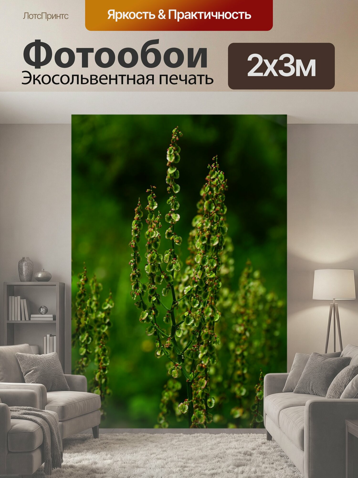 Фотообои "Щавель, щавель обыкновенный, соцветие" 200x300 см. экосольвентная печать