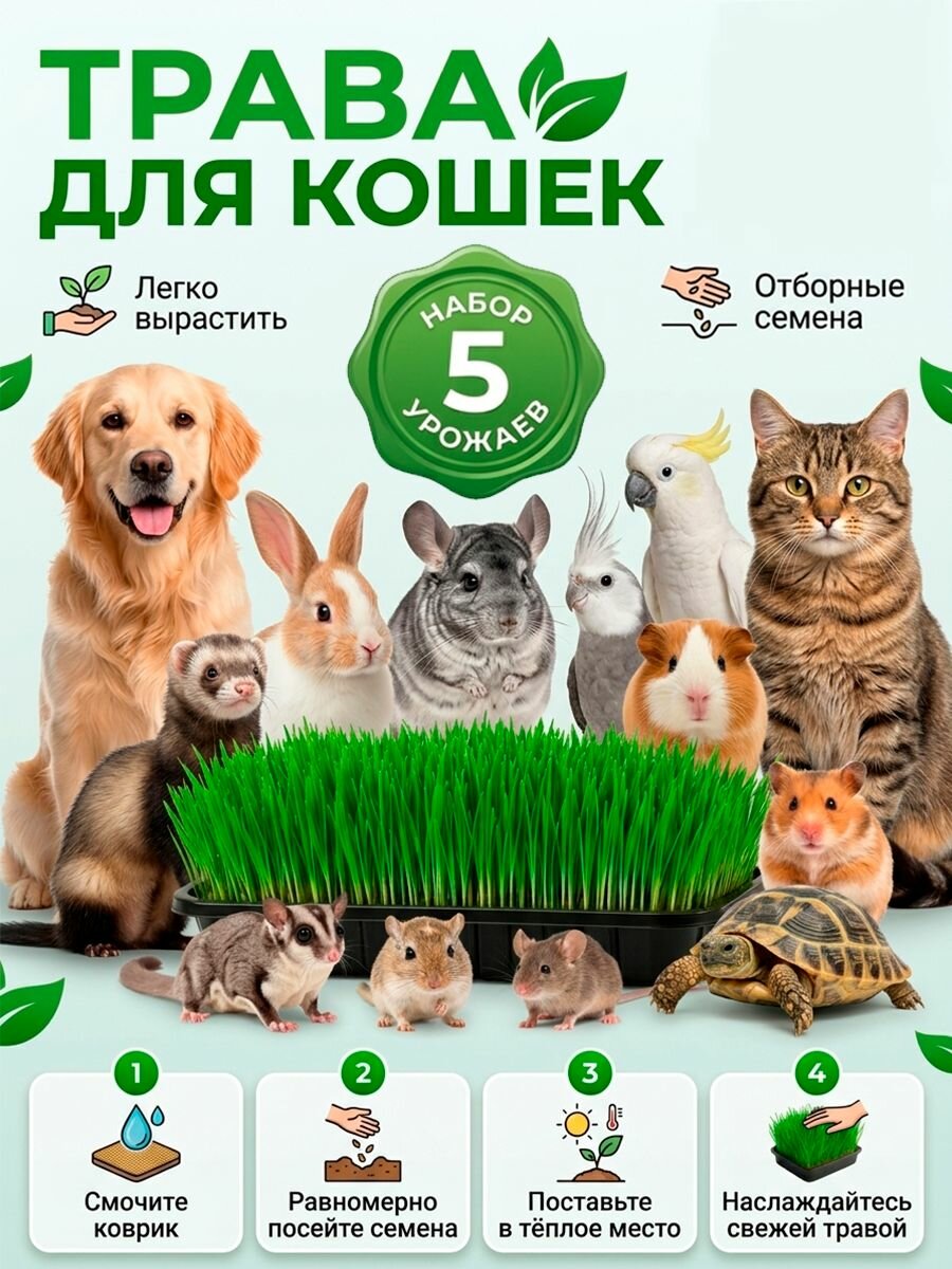 Трава для кошек (набор для выращивания) лакомство для кошек, собак