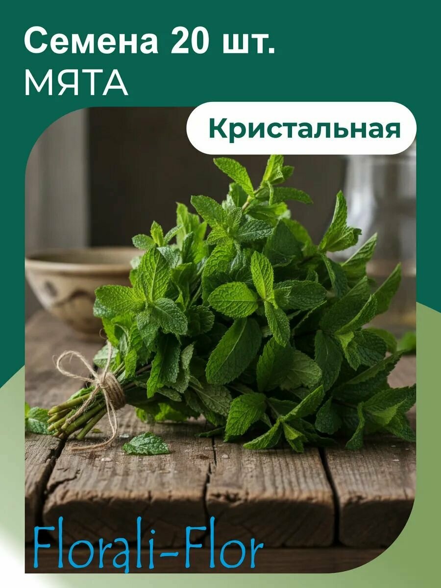 Мята Семена