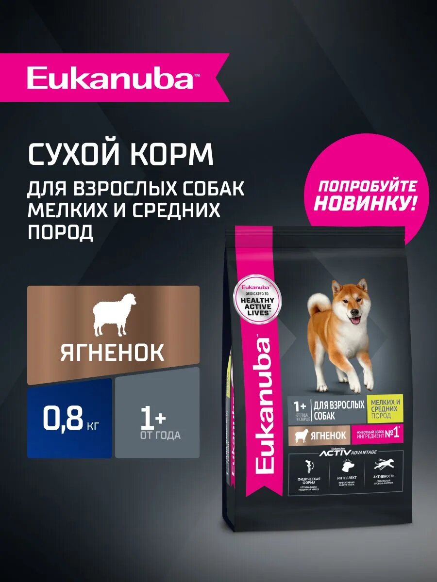 Сухой корм для собак Eukanuba для мелких и средних пород с ягненком, 800 г