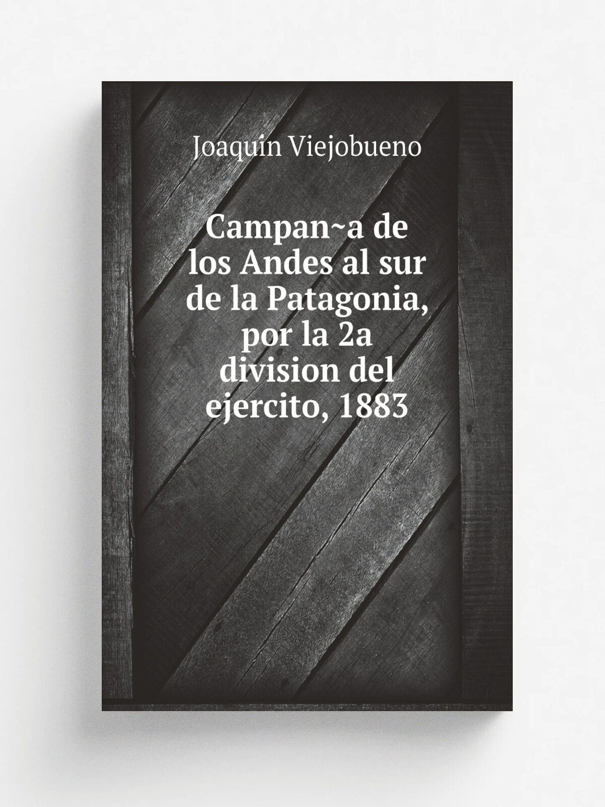 Campan.a de los Andes al sur de la Patagonia, por la 2a division del ejercito, 1883