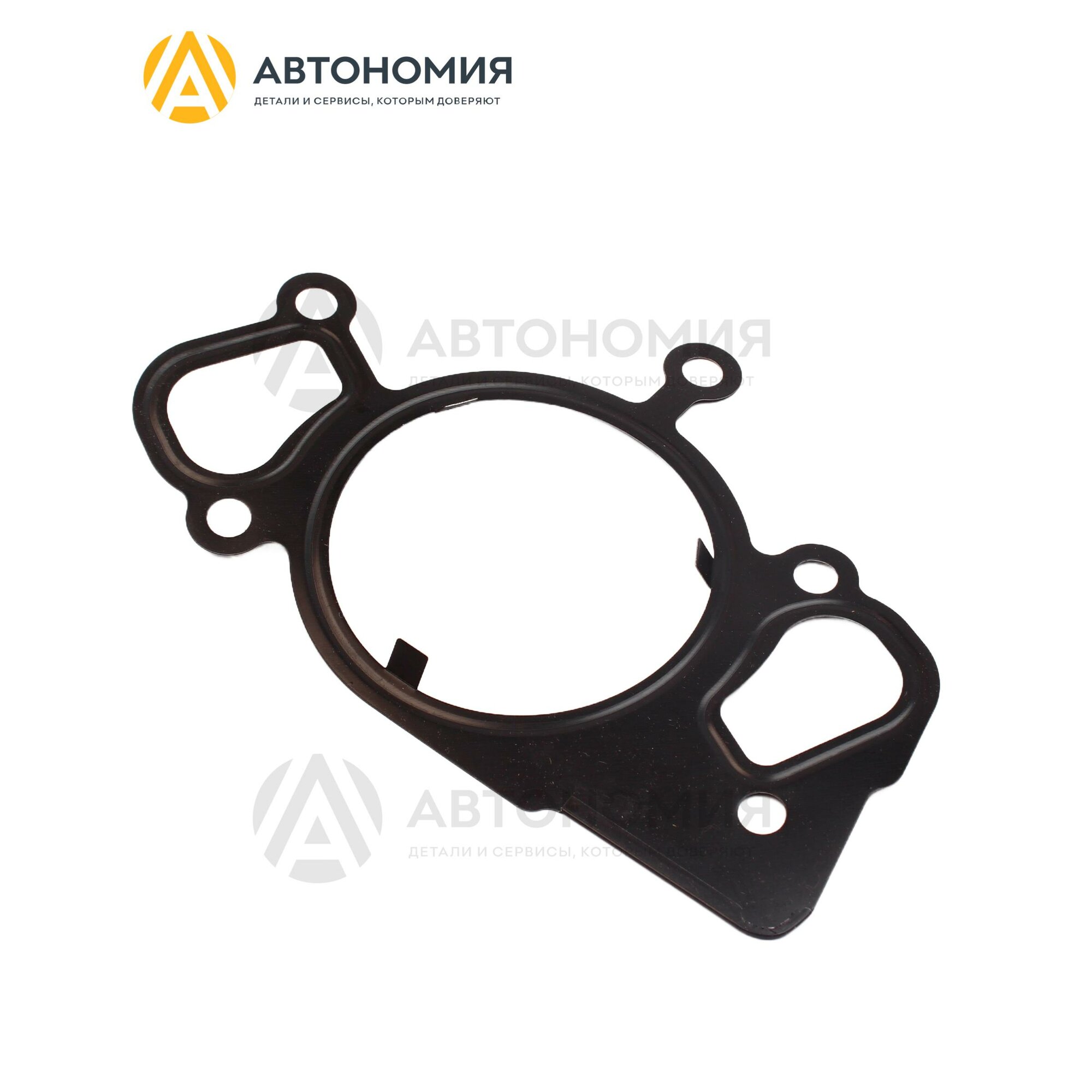 Прокладка водяного насоса Land Rover 4575903