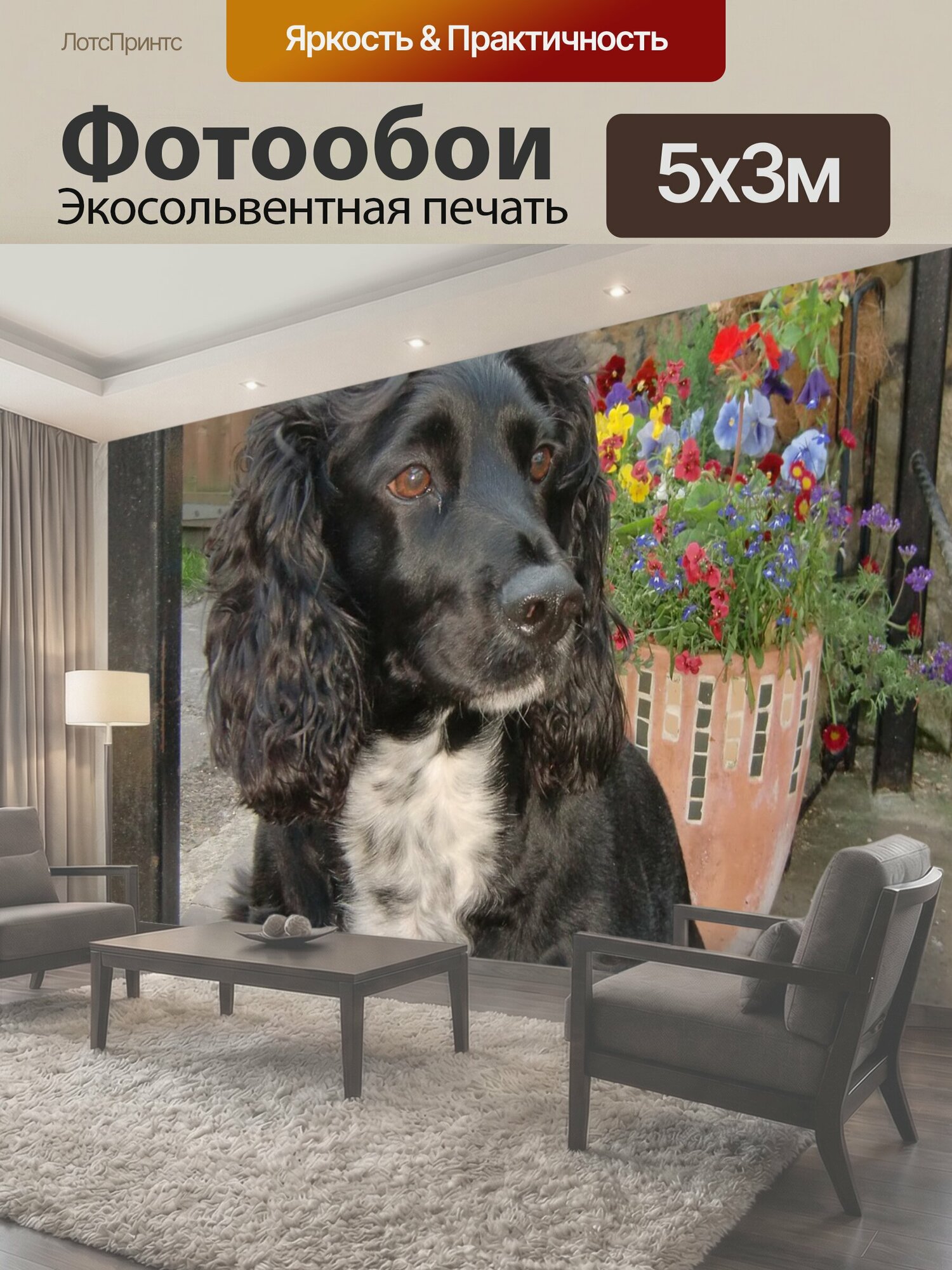 Фотообои "Собака, кокер, спаниель" 500x300 см. экосольвентная печать