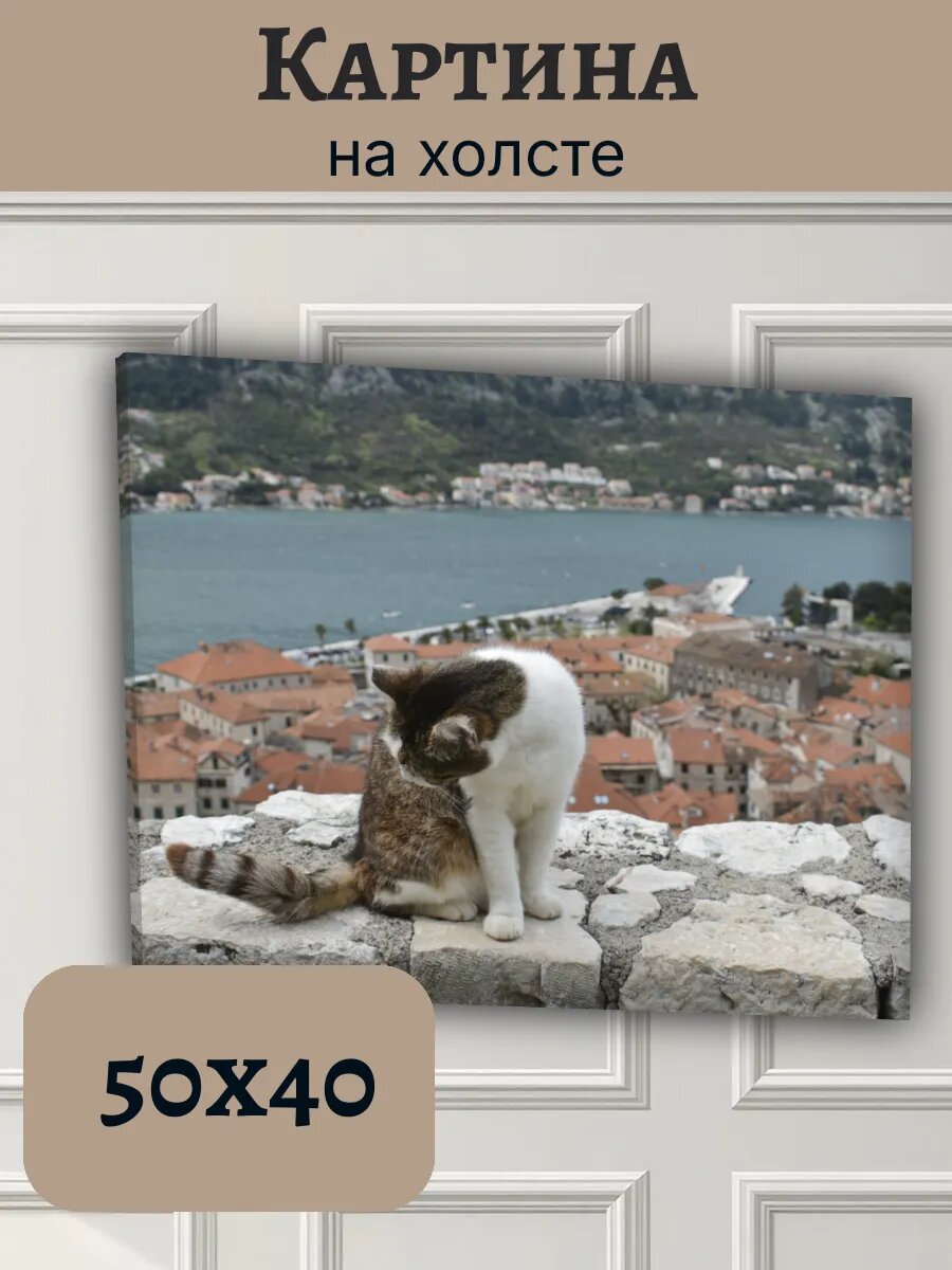 Картина Черногория Montenegro 40x50 с видом на Котор